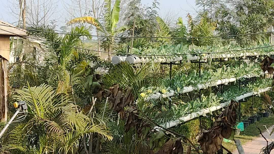 Photos of VR Farms Resort - Resort in Bareilly