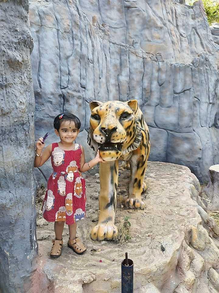 Reviews of Bandipur Khans resort & Gufa restaurant - Resort in Bandipur ...