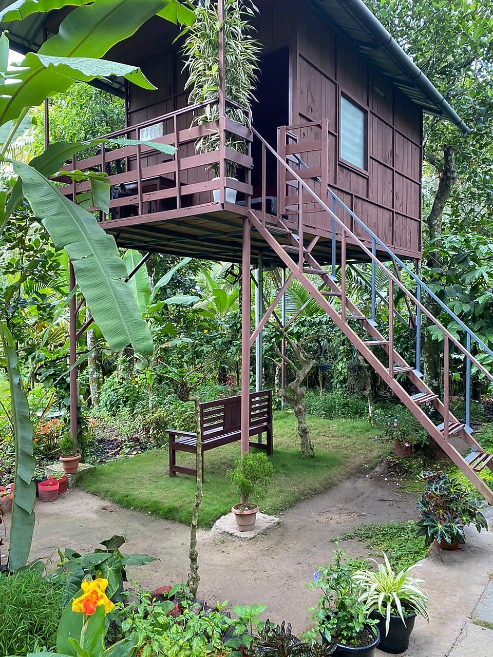 Lo Adoro Tree Hut Tourist Homestays 𝗕𝗢𝗢𝗞 Wayanad Homestay 𝘄𝗶𝘁𝗵 𝗙𝗥𝗘𝗘 ...