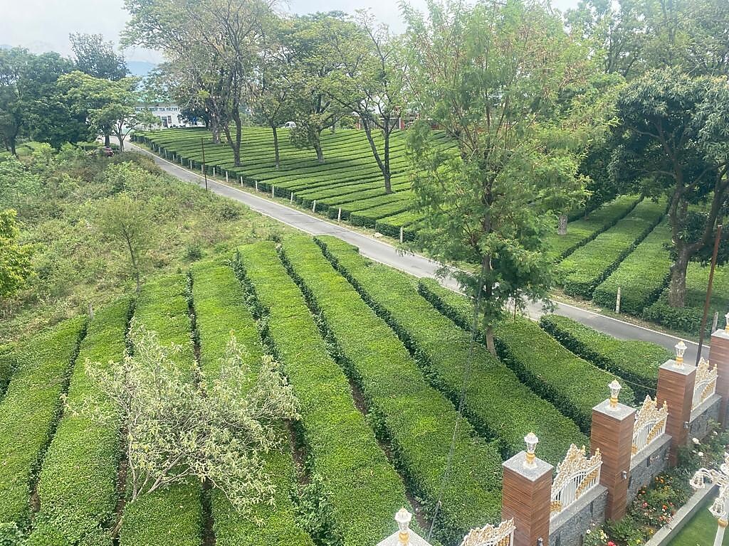 Matoshree Club and Resort 𝗕𝗢𝗢𝗞 Palampur Resort 𝘄𝗶𝘁𝗵 𝗙𝗥𝗘𝗘 𝗖𝗮𝗻𝗰𝗲𝗹𝗹𝗮𝘁𝗶𝗼𝗻