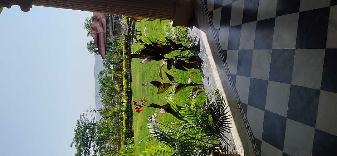 THE KUMBHA MAHAL RESORT 𝗕𝗢𝗢𝗞 Kumbhalgarh Resort 𝘄𝗶𝘁𝗵 𝗙𝗥𝗘𝗘 𝗖𝗮𝗻𝗰𝗲𝗹𝗹𝗮𝘁𝗶𝗼𝗻