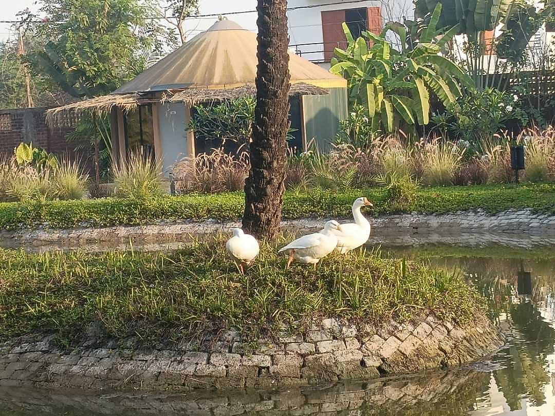 Shanti Resorts 𝗕𝗢𝗢𝗞 Valsad Resort 𝘄𝗶𝘁𝗵 𝗙𝗥𝗘𝗘 𝗖𝗮𝗻𝗰𝗲𝗹𝗹𝗮𝘁𝗶𝗼𝗻