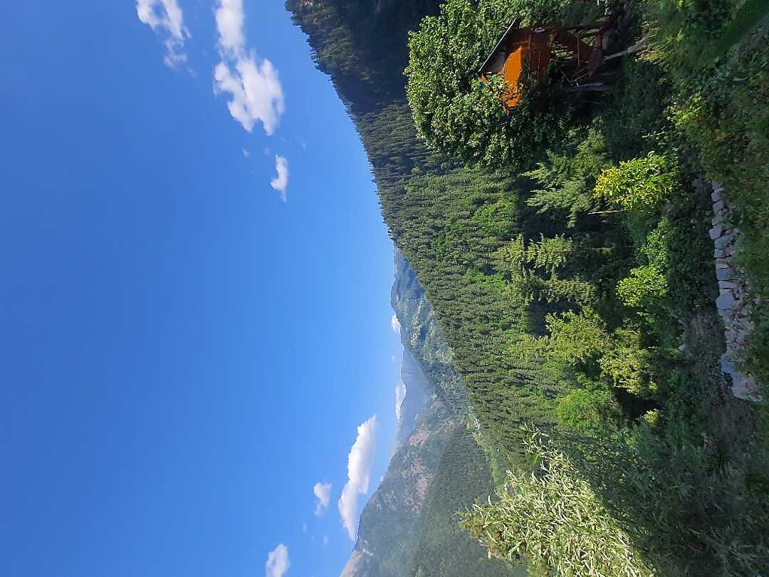 Nebula Nook 𝗕𝗢𝗢𝗞 Jibhi Cottage 𝘄𝗶𝘁𝗵 𝗙𝗥𝗘𝗘 𝗖𝗮𝗻𝗰𝗲𝗹𝗹𝗮𝘁𝗶𝗼𝗻