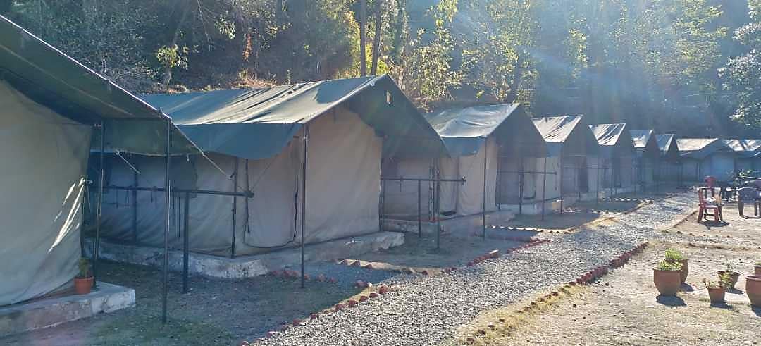 Jungle Stays Camp | Rooms & Caretaker 𝗕𝗢𝗢𝗞 Chail Camp 𝘄𝗶𝘁𝗵 𝗙𝗥𝗘𝗘 ...