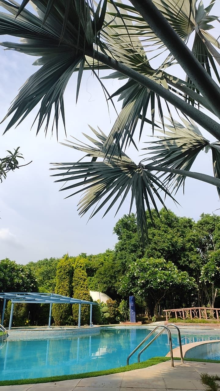 Hotel Botanix Nature Resort 𝗕𝗢𝗢𝗞 Sohna Hotel 𝘄𝗶𝘁𝗵 𝗙𝗥𝗘𝗘 𝗖𝗮𝗻𝗰𝗲𝗹𝗹𝗮𝘁𝗶𝗼𝗻