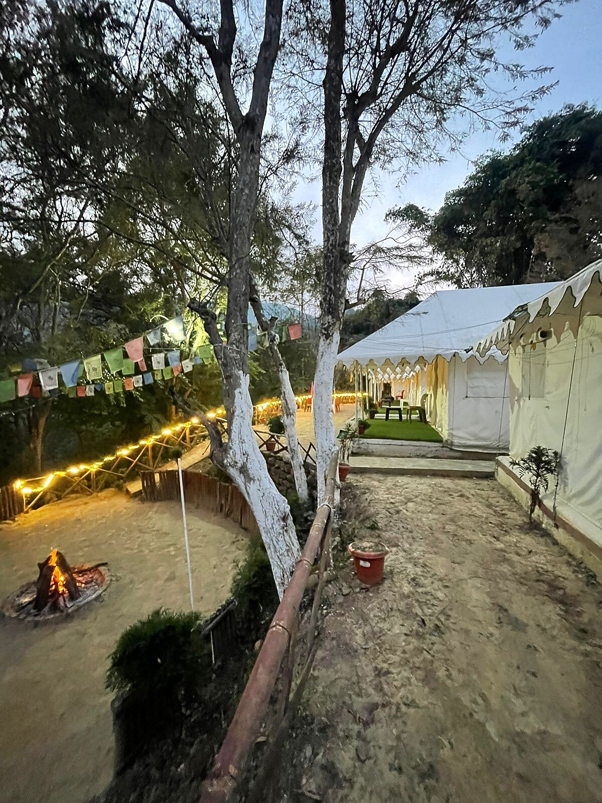 Photos of Omya Forest Camps | Rooms & Bonfire - Camp in Bir Billing