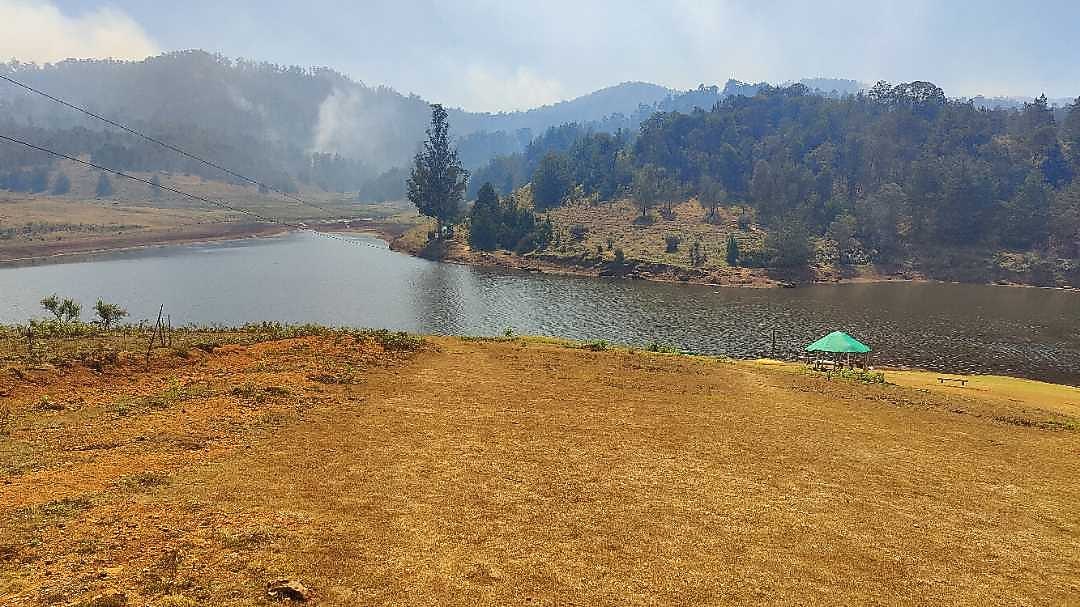 Reviews of Trivers Resort Munnar - Resort in Munnar