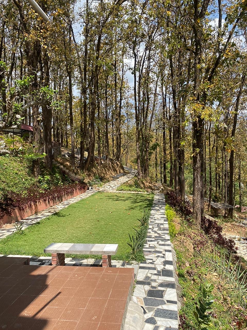 Photos of Mystic Grove - Farm House in Dehradun