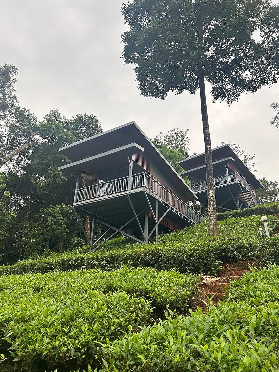 Vythiri Stream View | Rooms in a Homestay 𝗕𝗢𝗢𝗞 Wayanad Cottage 𝘄𝗶𝘁𝗵 ...