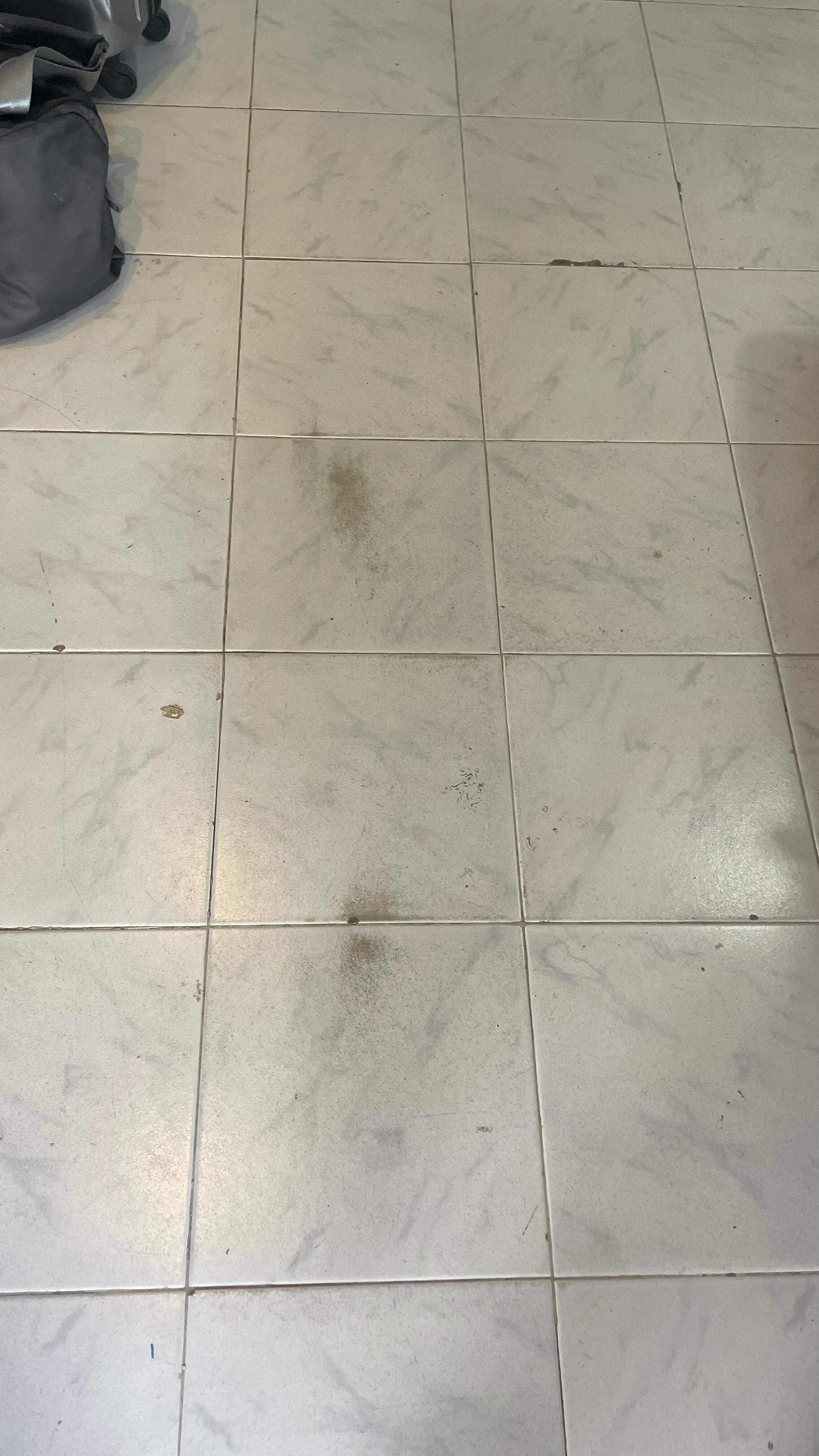 Greek Terrace Themed Penthouse 𝗕𝗢𝗢𝗞 Chennai Villa 𝘄𝗶𝘁𝗵 𝗙𝗥𝗘𝗘 𝗖𝗮𝗻𝗰𝗲𝗹𝗹𝗮𝘁𝗶𝗼𝗻