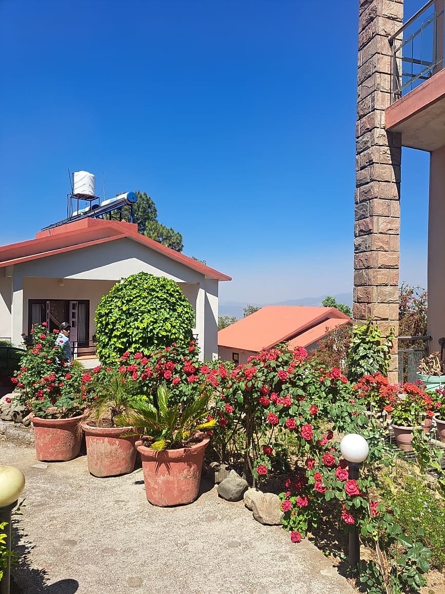 Photos of Binsar Eco Resort, Binsar - Uttarakhand - Resort in Binsar