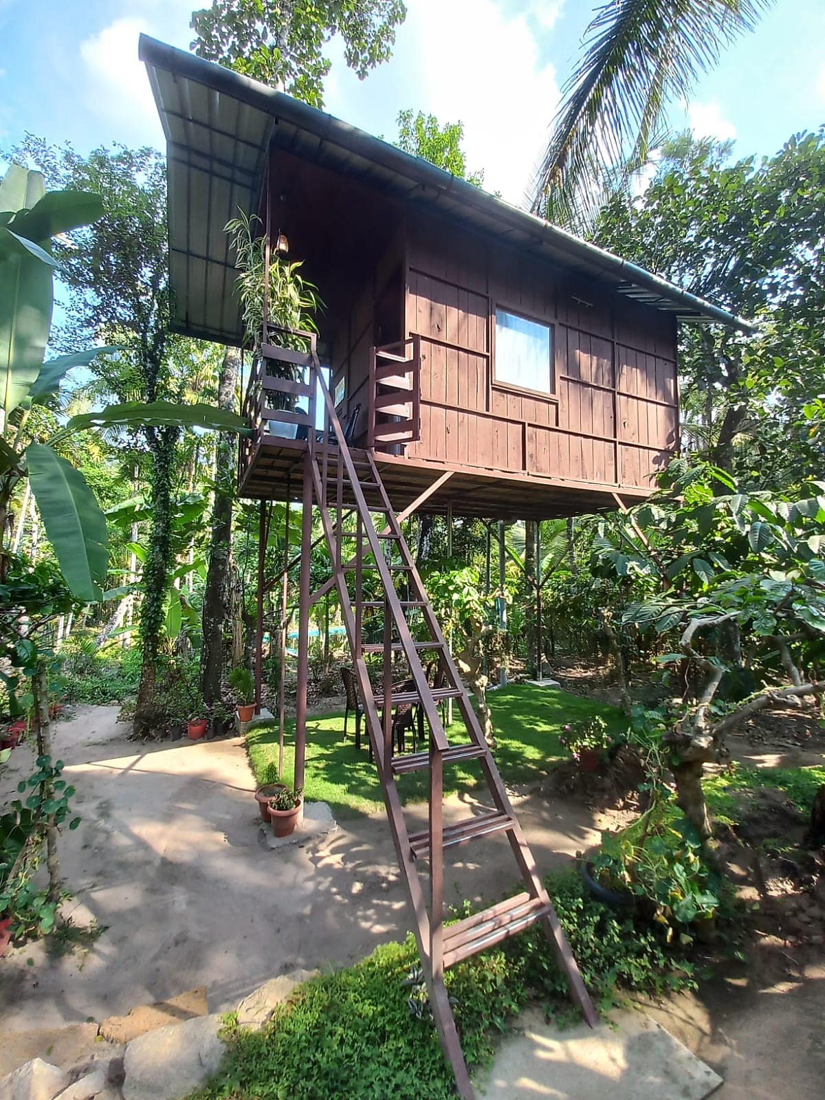 Lo Adoro Tree Hut Tourist Homestays 𝗕𝗢𝗢𝗞 Wayanad Homestay 𝘄𝗶𝘁𝗵 𝗙𝗥𝗘𝗘 ...