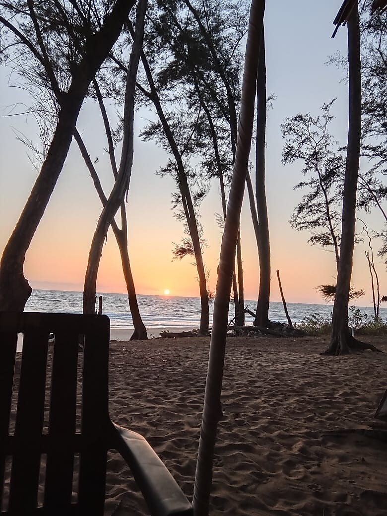 Photos of Aloha Boutique Resort Morjim Goa - Resort in Goa