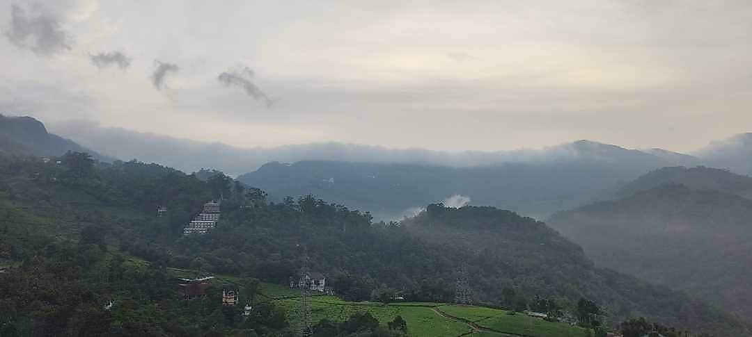Golden Munnar Palace By Hawk Hospitality 𝗕𝗢𝗢𝗞 Munnar Resort 𝘄𝗶𝘁𝗵 𝗙𝗥𝗘𝗘 ...