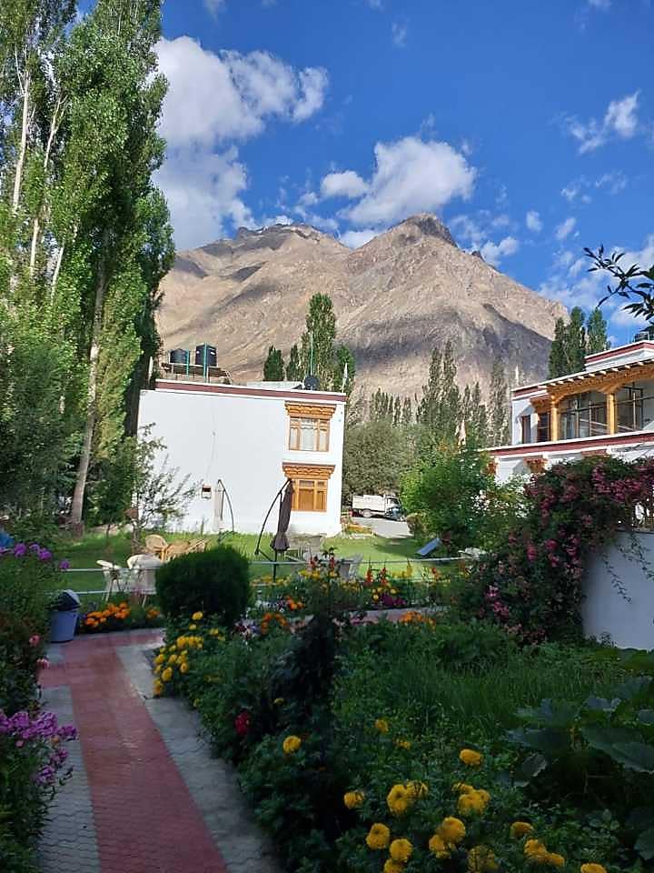 Reviews of Hunder Resort - Hotel in Nubra Valley