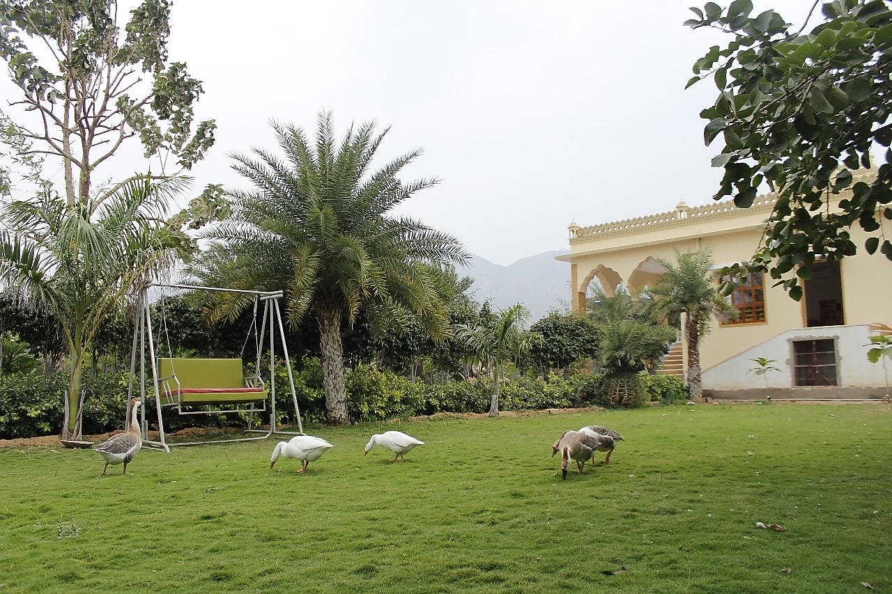 Farm Aavjo - A Conscious Stay 𝗕𝗢𝗢𝗞 Pushkar Hotel 𝘄𝗶𝘁𝗵 𝗙𝗥𝗘𝗘 𝗖𝗮𝗻𝗰𝗲𝗹𝗹𝗮𝘁𝗶𝗼𝗻