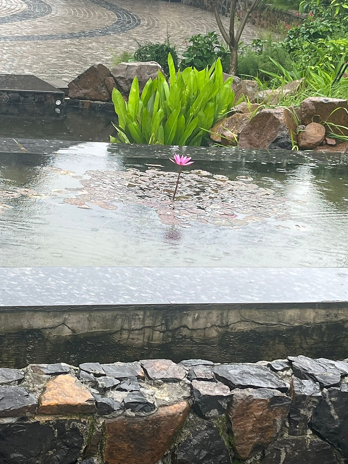 Radisson Resort Hatgad Saputara 𝗕𝗢𝗢𝗞 Hatgad Resort 𝘄𝗶𝘁𝗵 𝗙𝗥𝗘𝗘 𝗖𝗮𝗻𝗰𝗲𝗹𝗹𝗮𝘁𝗶𝗼𝗻