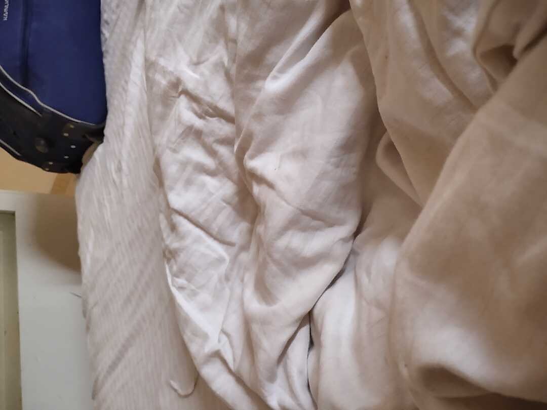 Hotel Magic Tree @ New Delhi Best Rates on Delhi Hotel Deals, Reviews ...