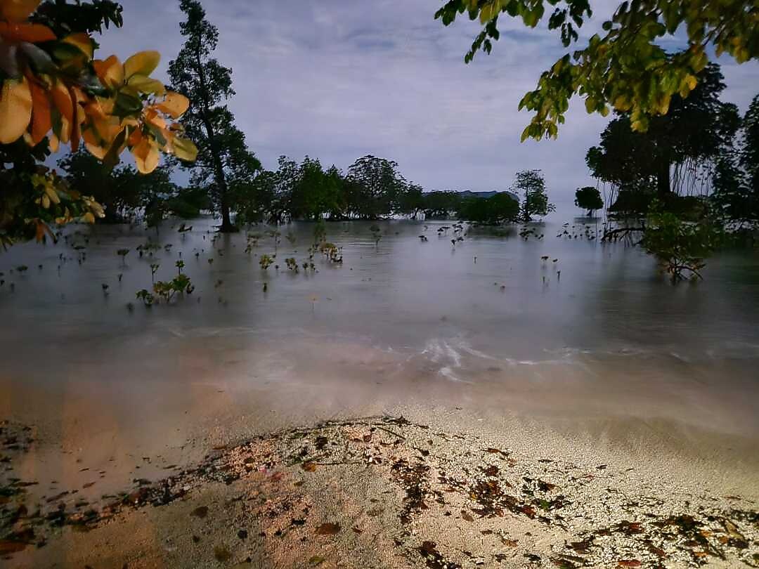 Reviews of Sea Shell Neil Island - Resort in Neil Island