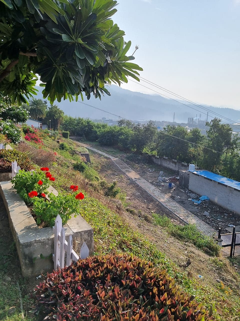 Treeoise Resort (A Unit of Sunder Kakkar Hotel) 𝗕𝗢𝗢𝗞 Baddi Resort 𝘄𝗶𝘁𝗵 ...