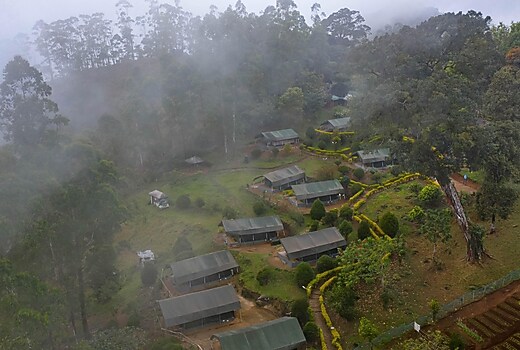 Nature Zone Jungle Resort 𝗕𝗢𝗢𝗞 Munnar Resort 𝘄𝗶𝘁𝗵 𝗙𝗥𝗘𝗘 𝗖𝗮𝗻𝗰𝗲𝗹𝗹𝗮𝘁𝗶𝗼𝗻