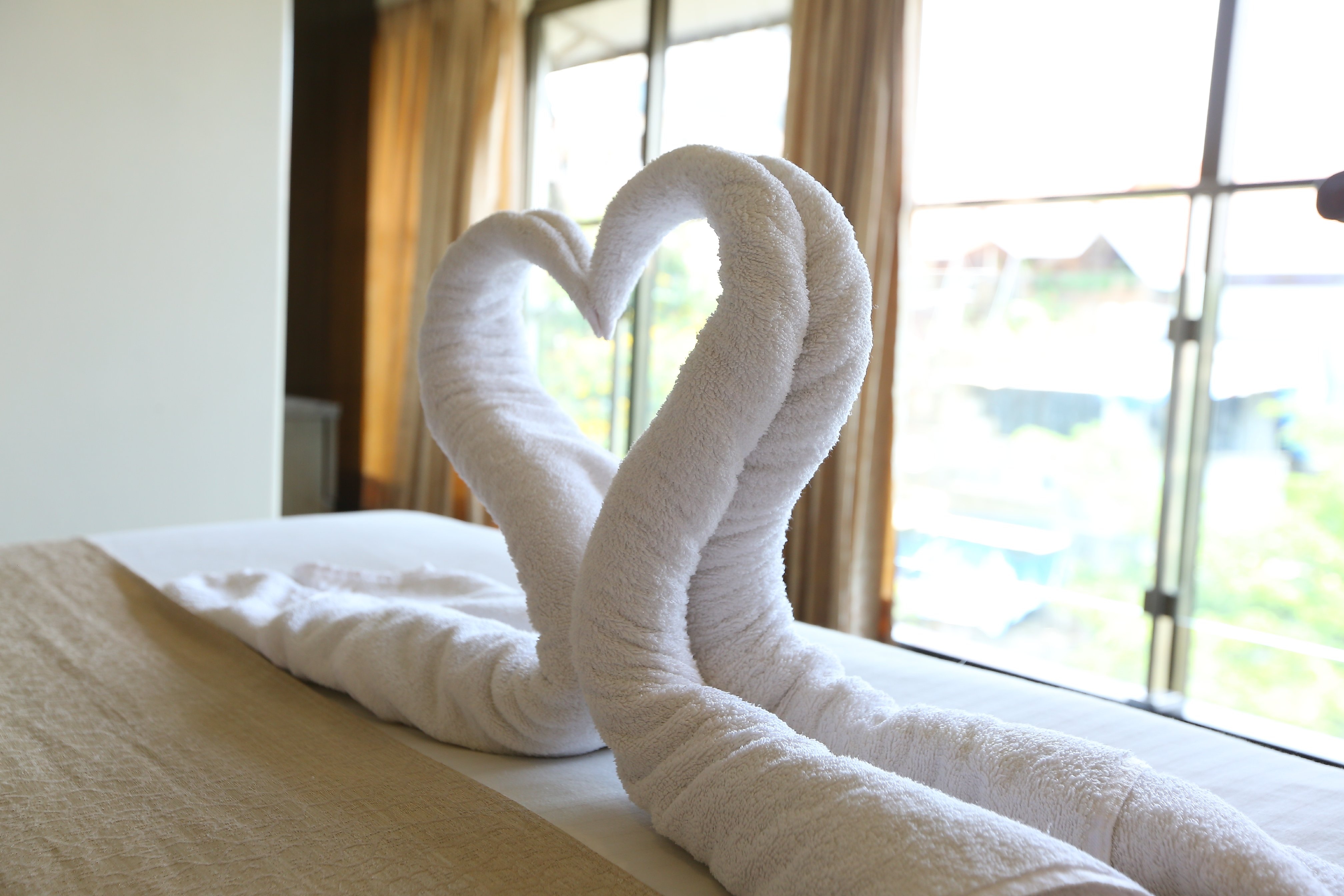 Gulf Hotel Colaba Mumbai Hotel Price, Address & Reviews