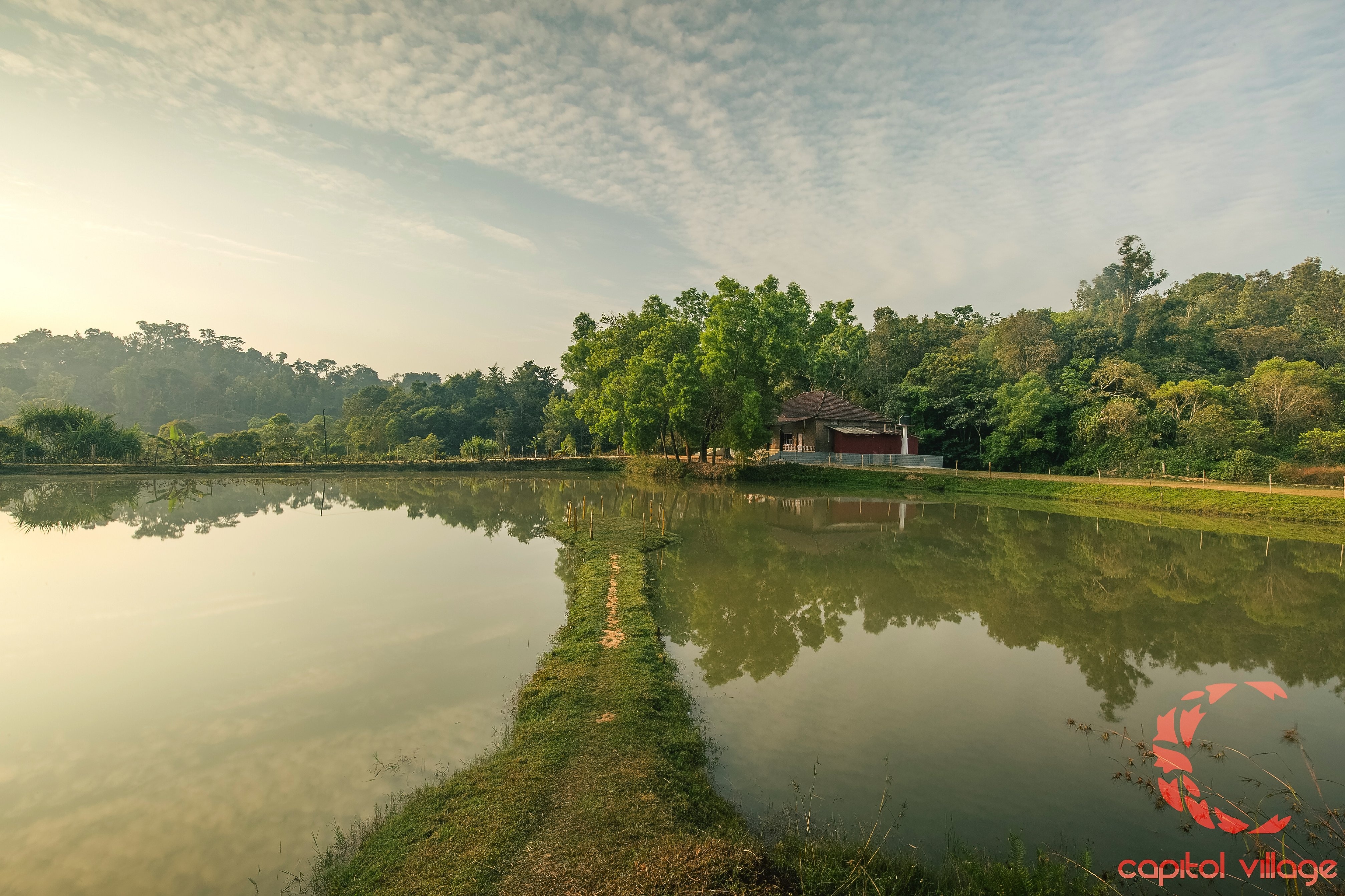 The Capitol Village Resort 𝗕𝗢𝗢𝗞 Coorg Resort 𝘄𝗶𝘁𝗵 ₹𝟬 𝗣𝗔𝗬𝗠𝗘𝗡𝗧