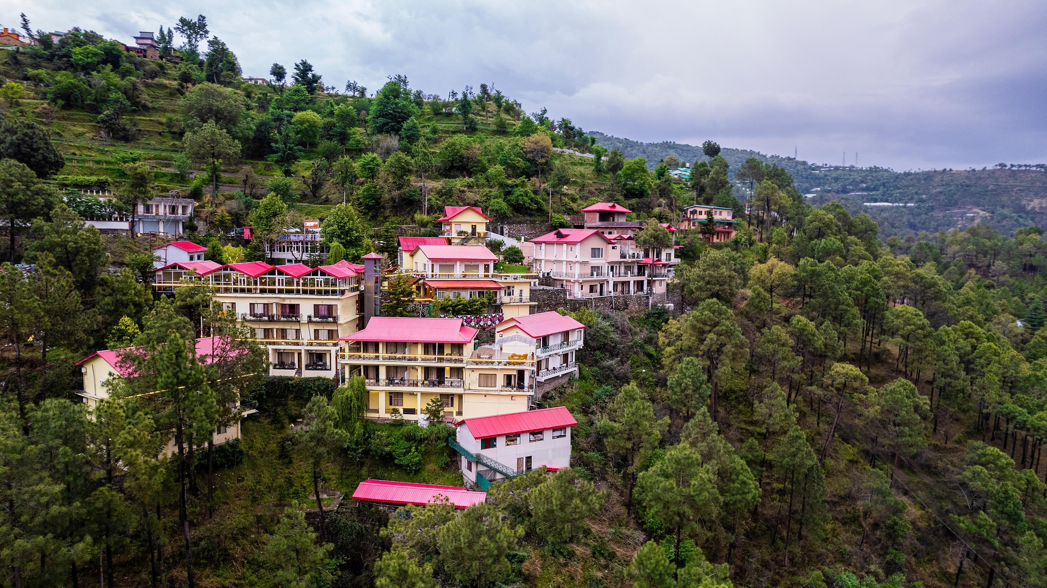 Maple Resort Chail Chail - Reviews, Photos & Offer