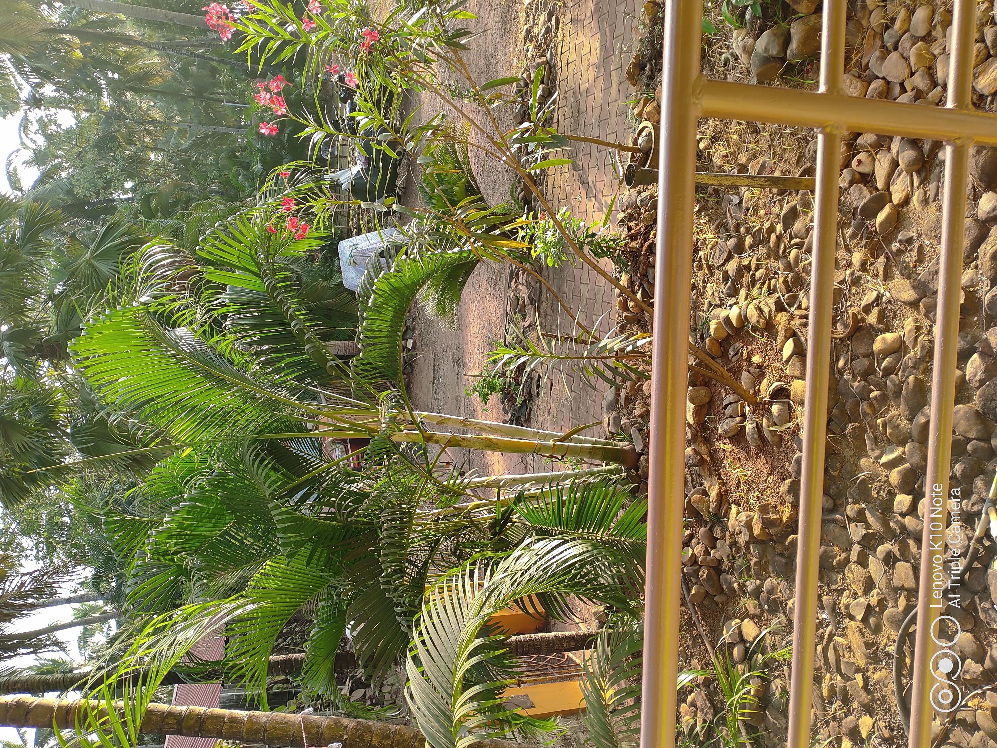 Wavelet Beach Resort 𝗕𝗢𝗢𝗞 Goa Resort 𝘄𝗶𝘁𝗵 ₹𝟬 𝗣𝗔𝗬𝗠𝗘𝗡𝗧