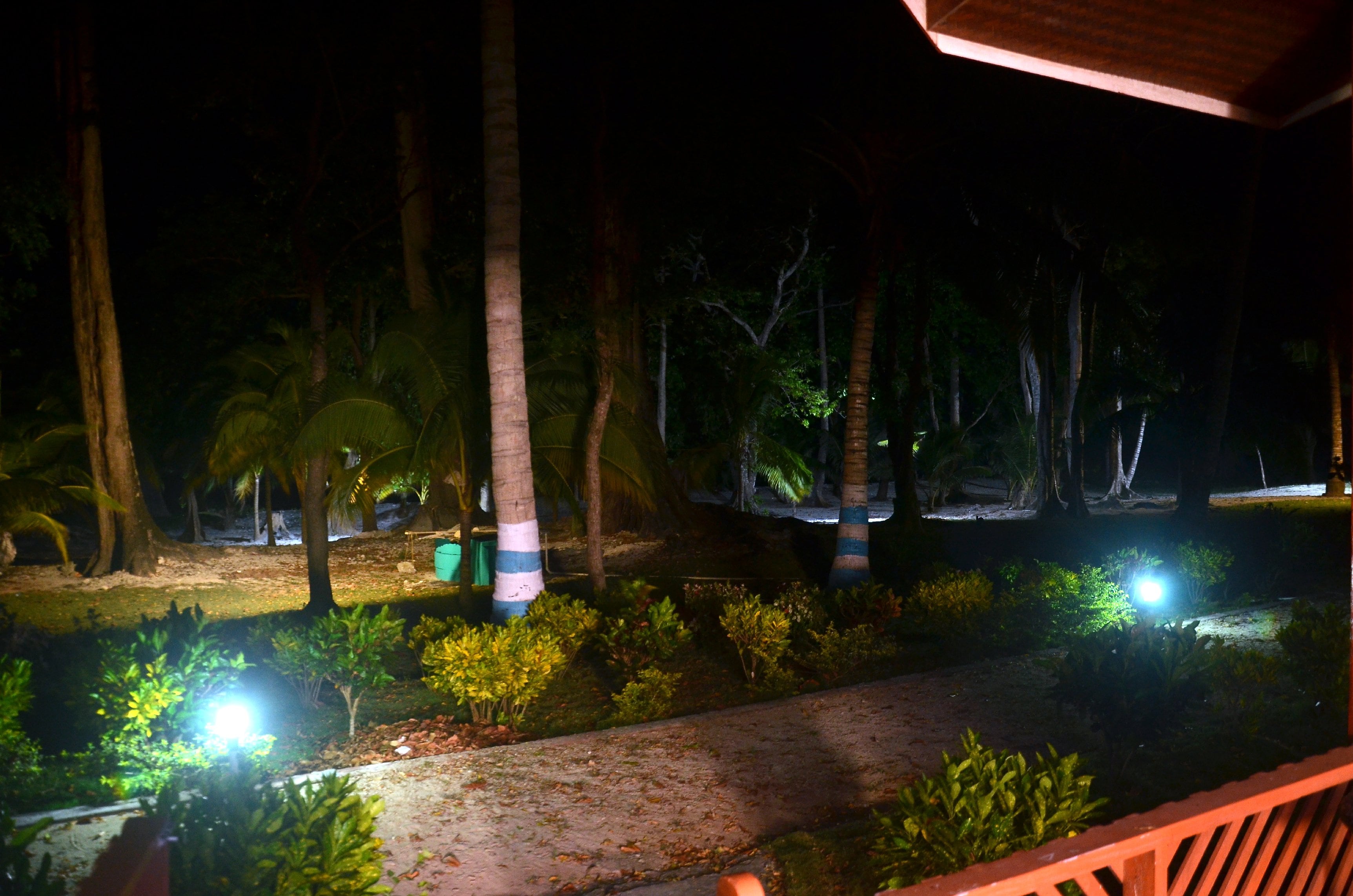 Tango Beach Resort Best Rates on Neil Island Hotel Deals, Reviews & Photos