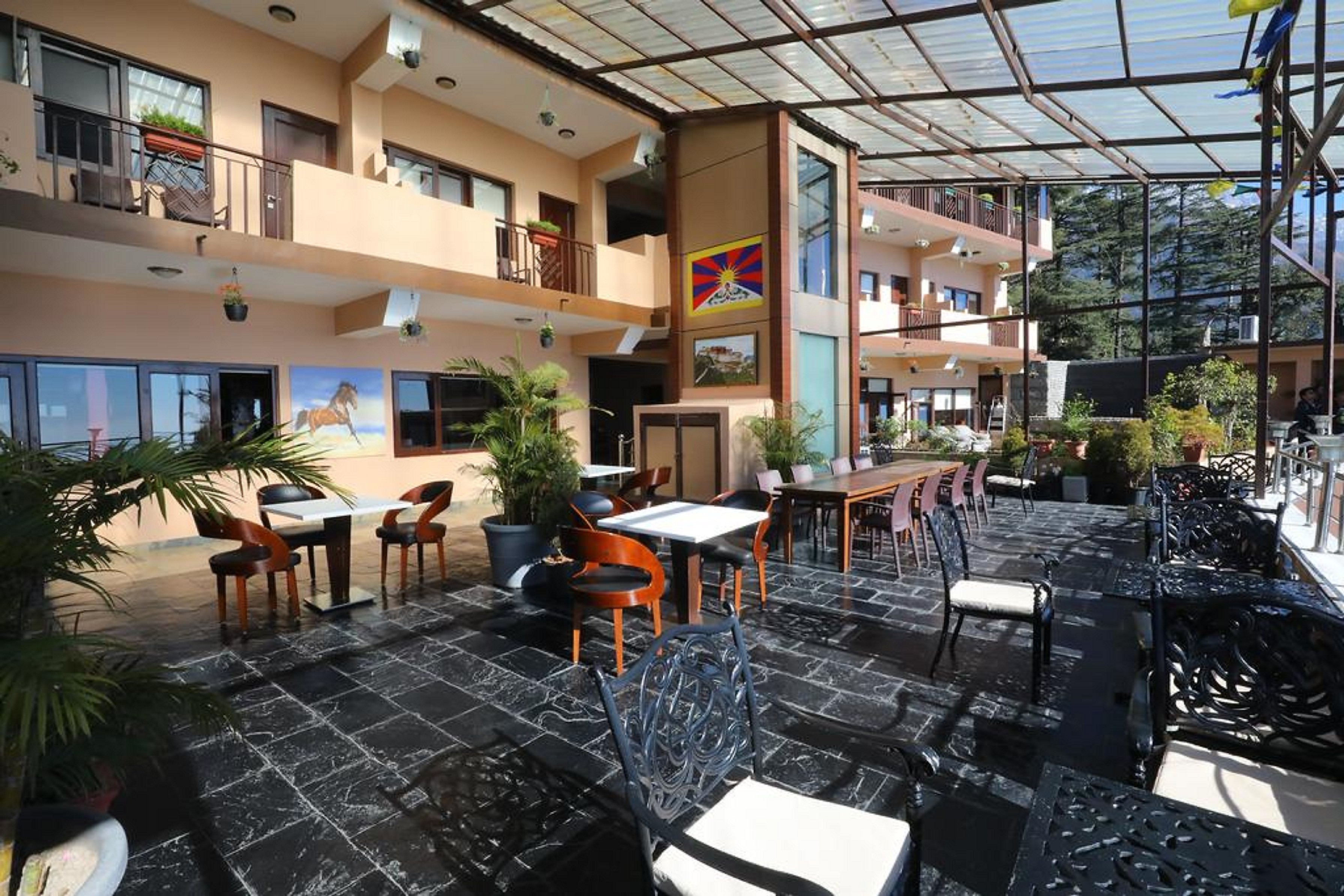 Hotel Norbu House Best Rates on Dharamshala Hotel Deals, Reviews & Photos