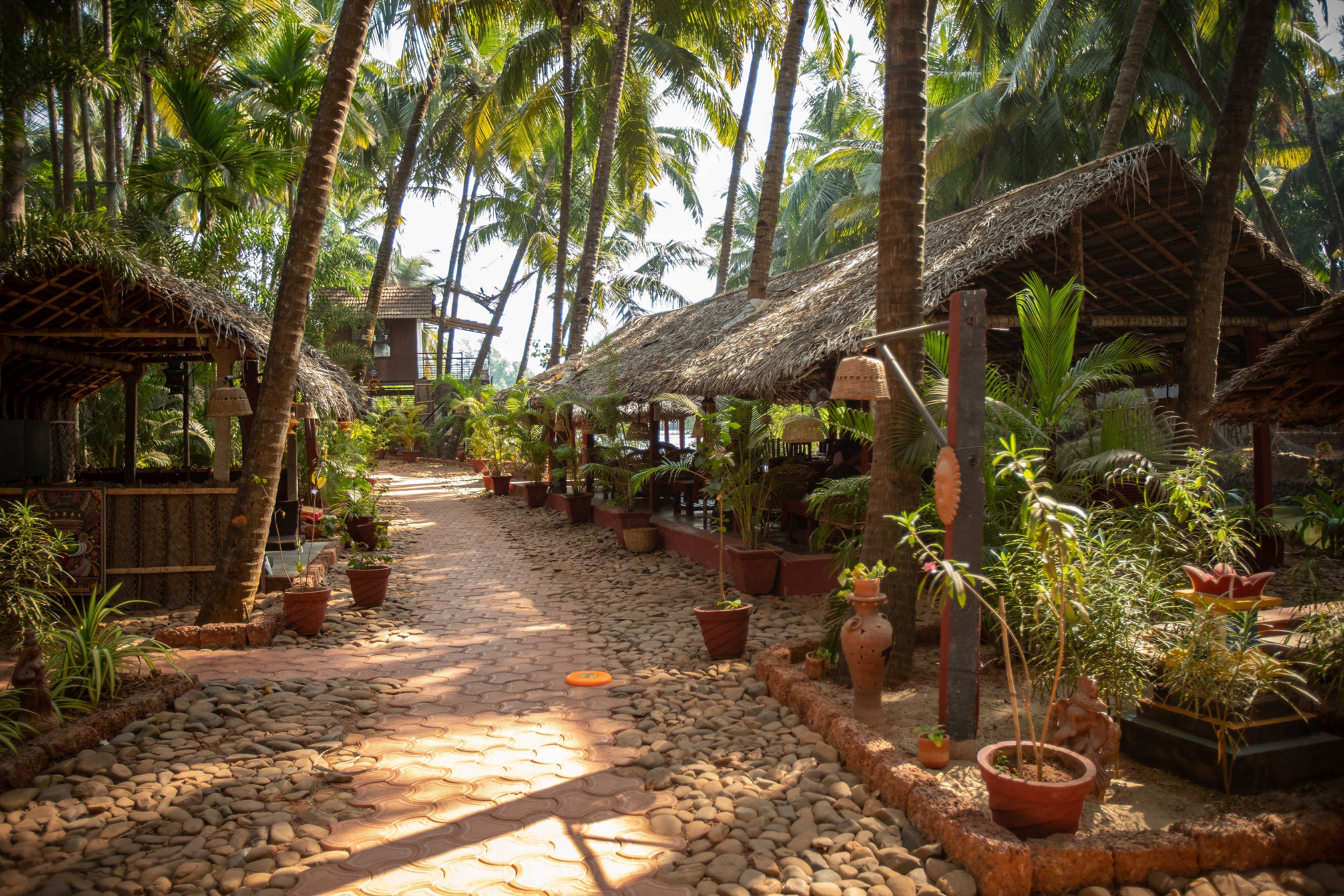 The Palm Trees Ayurvedic Heritage Resort | Goa Resort BOOK @ ₹1