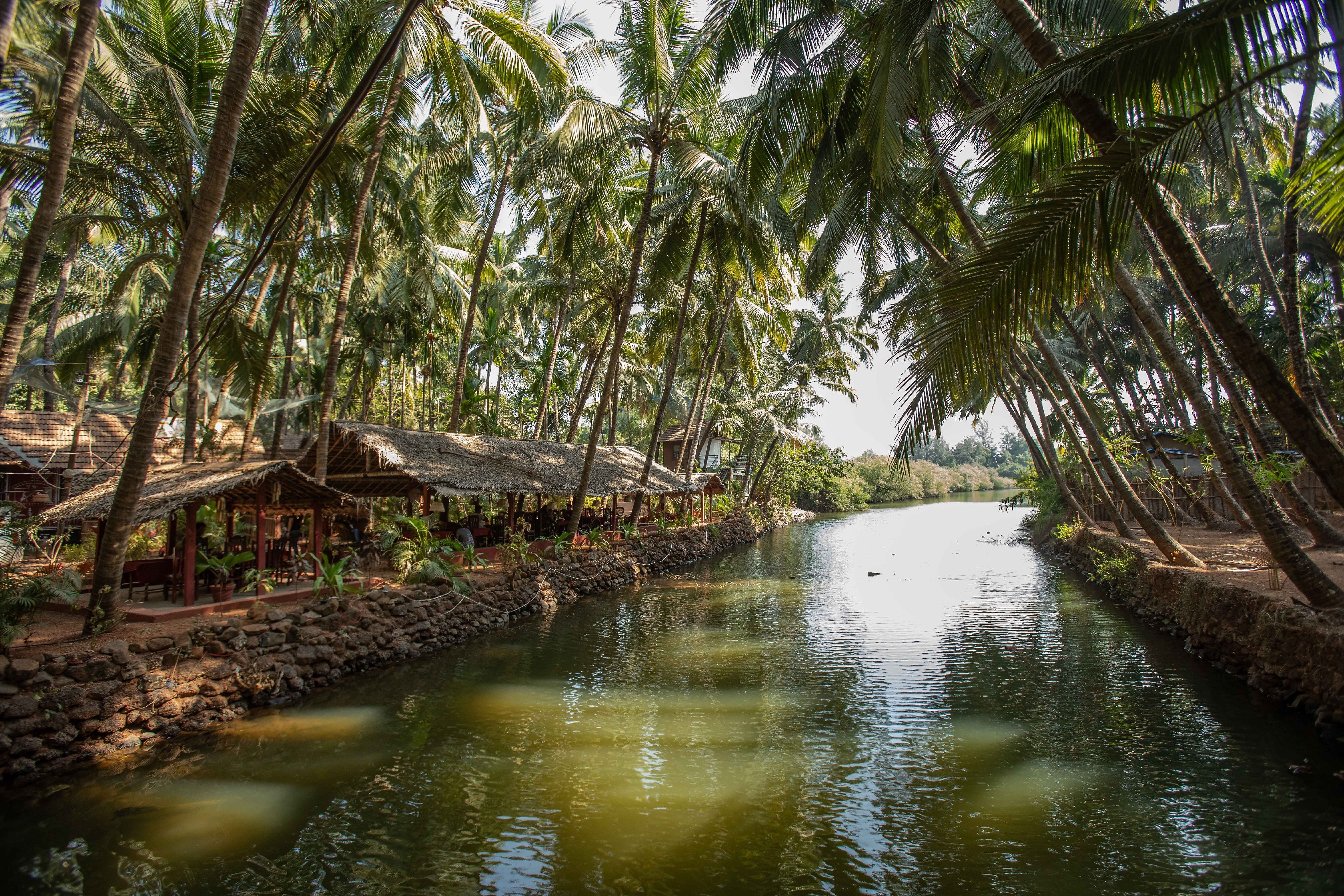 The Palm Trees Ayurvedic Heritage Resort | Goa Resort BOOK @ ₹1