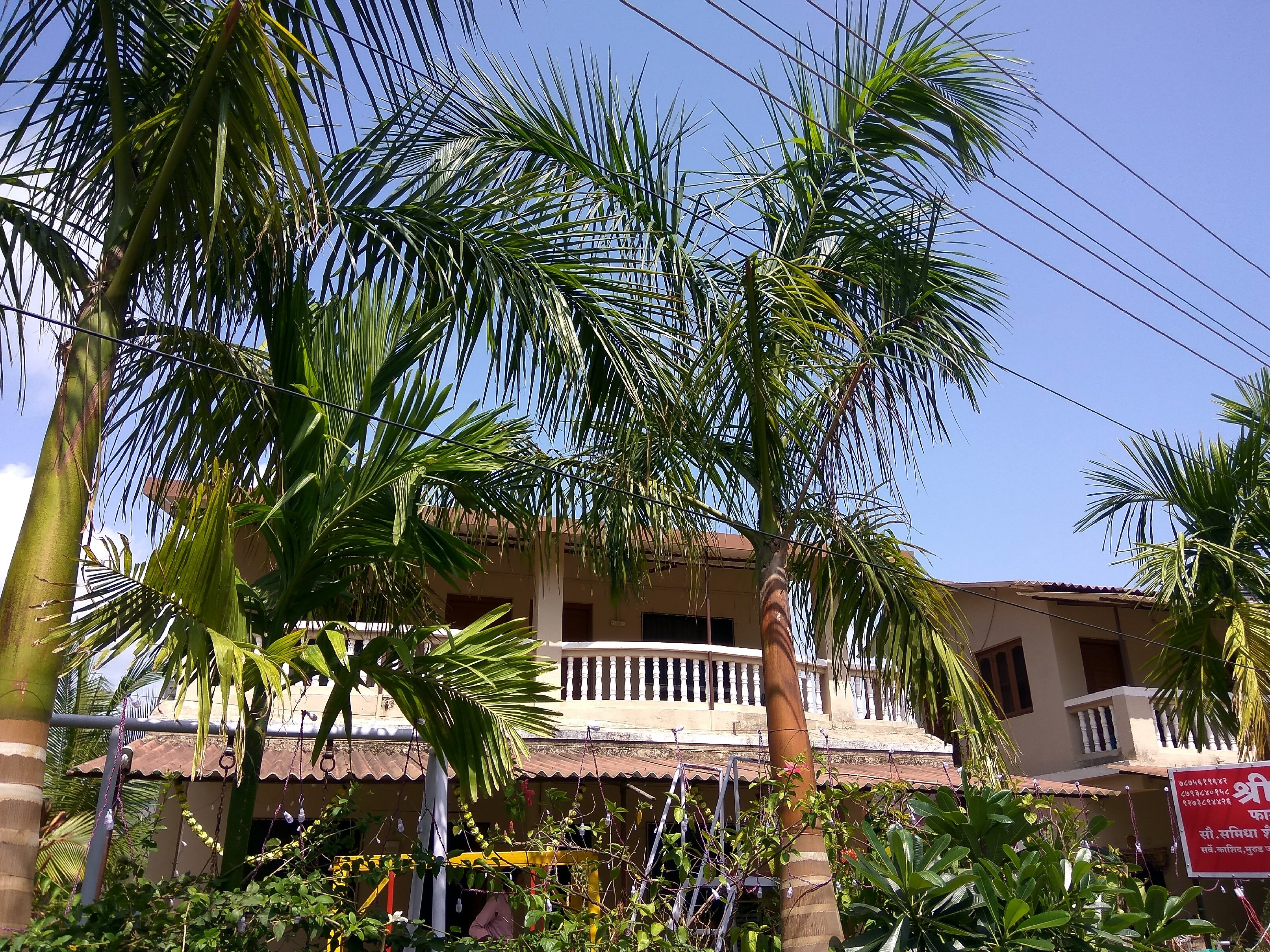 Address of Shrimat farm house - Homestay in Murud Janjira