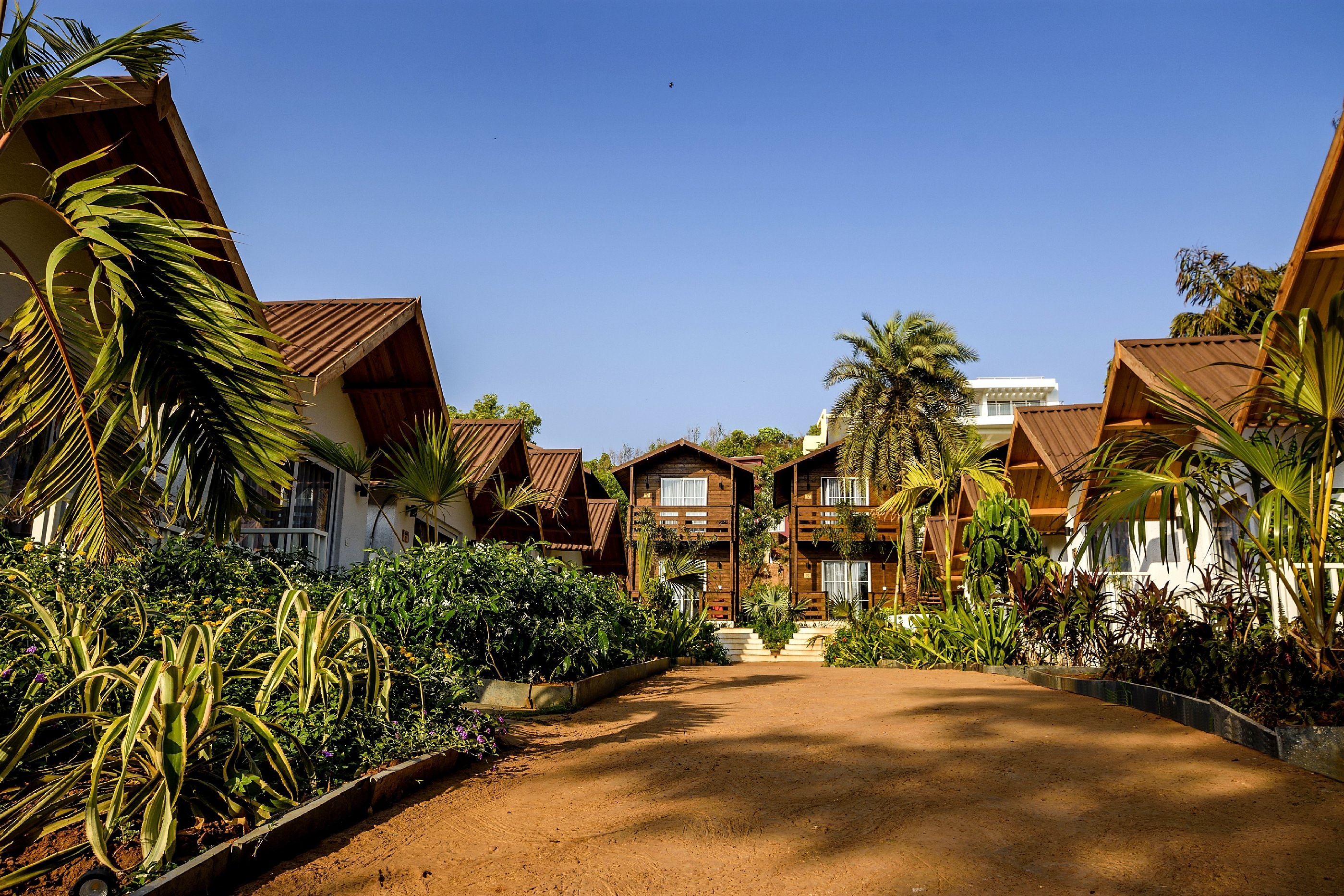 White Woods Resort & Spa Goa INR 589 OFF ( ̶2̶9̶9̶9̶ ) Resort Price ...