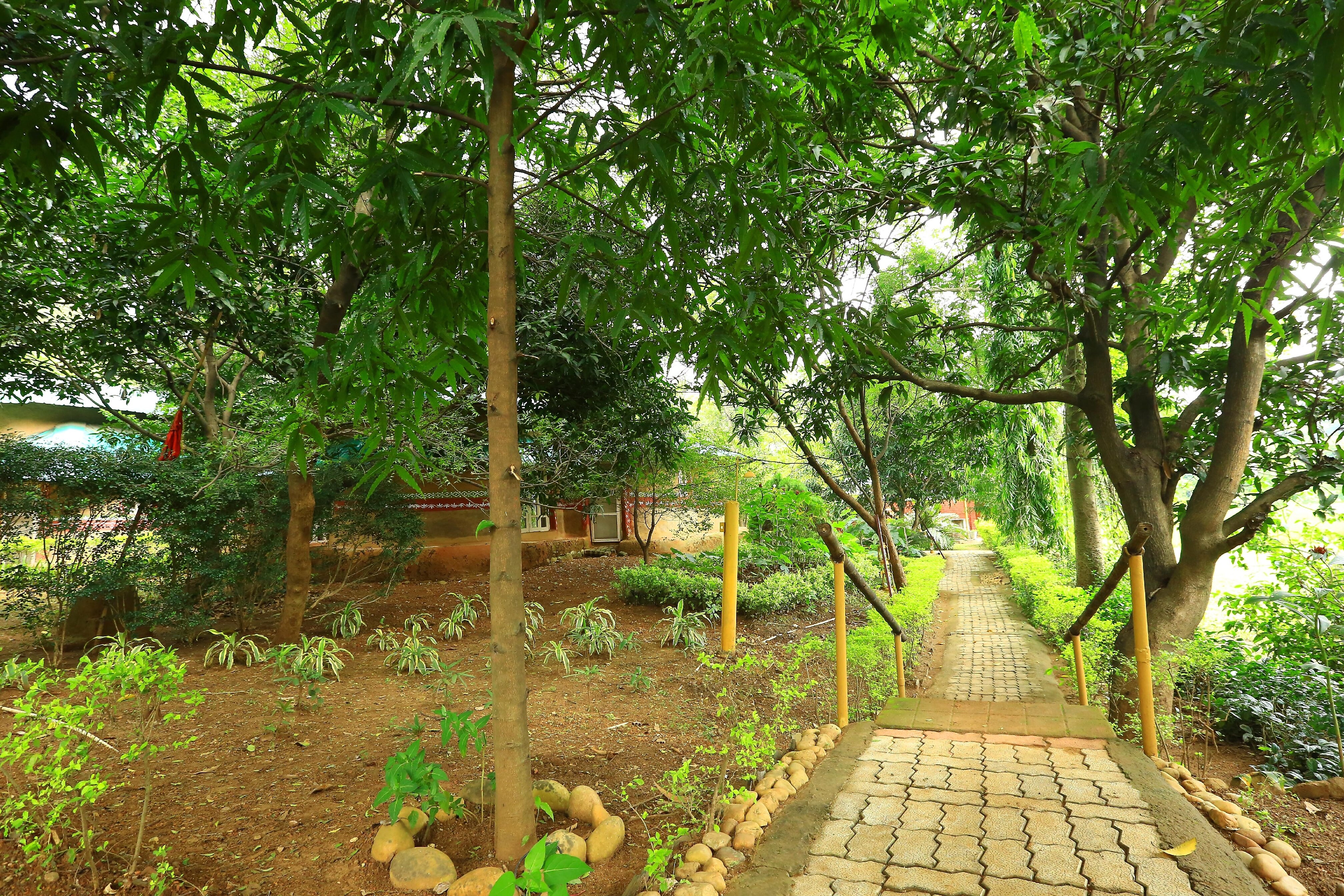 Dalmanchal - Our Khet | Rooms & Mud Huts | Jamshedpur Farm House BOOK @ ₹1