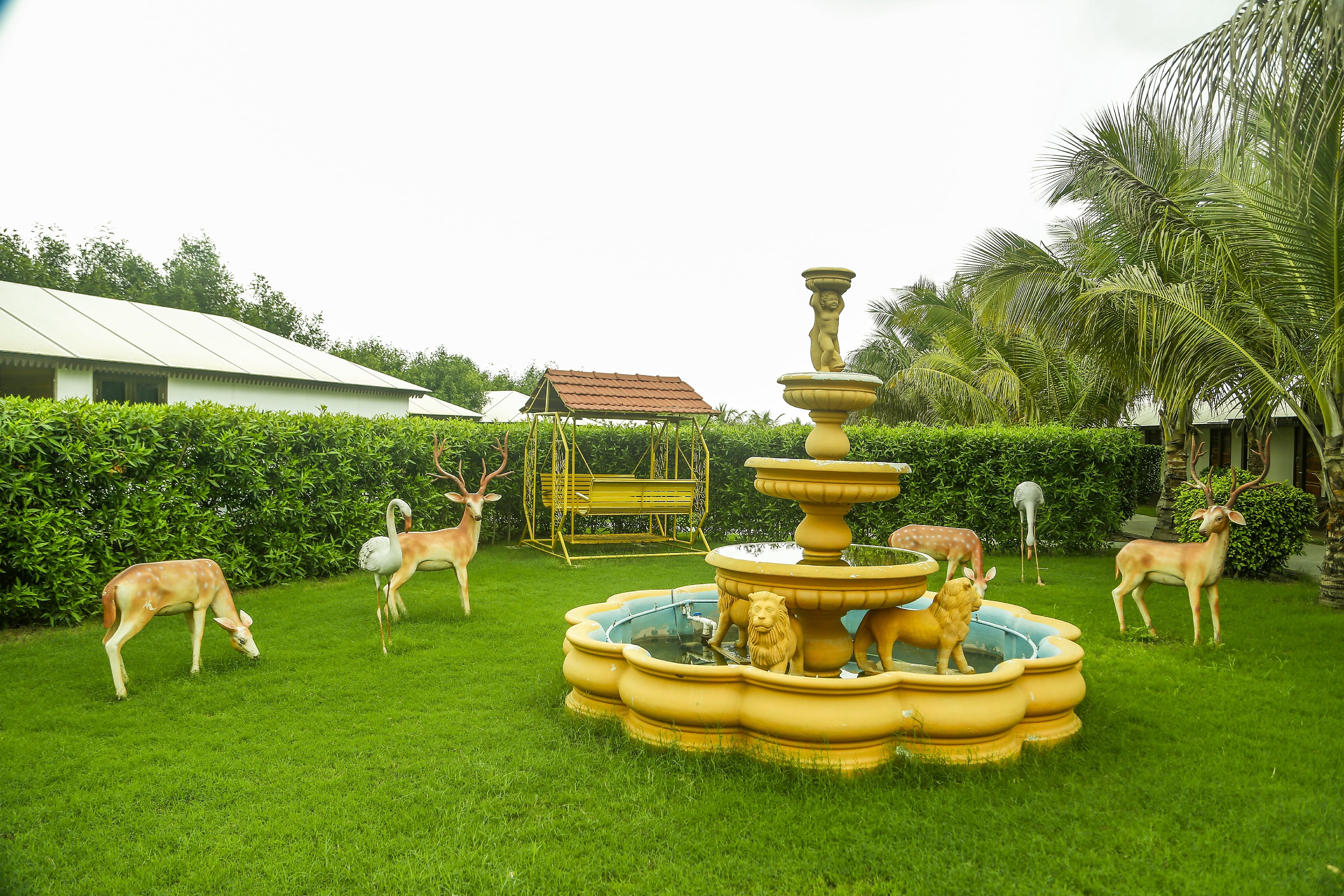 Dream Resort Best Rates on Bhuj Hotel Deals, Reviews & Photos