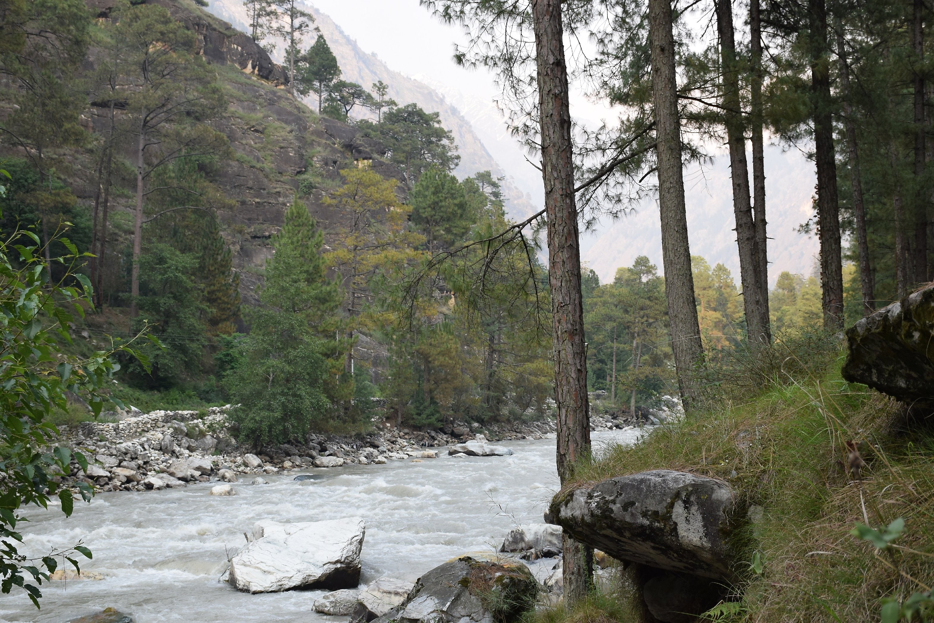 Kasol Riverside Camps & Cottages Kasol INR 24 OFF ( ̶4̶0̶0̶ ) Camp ...