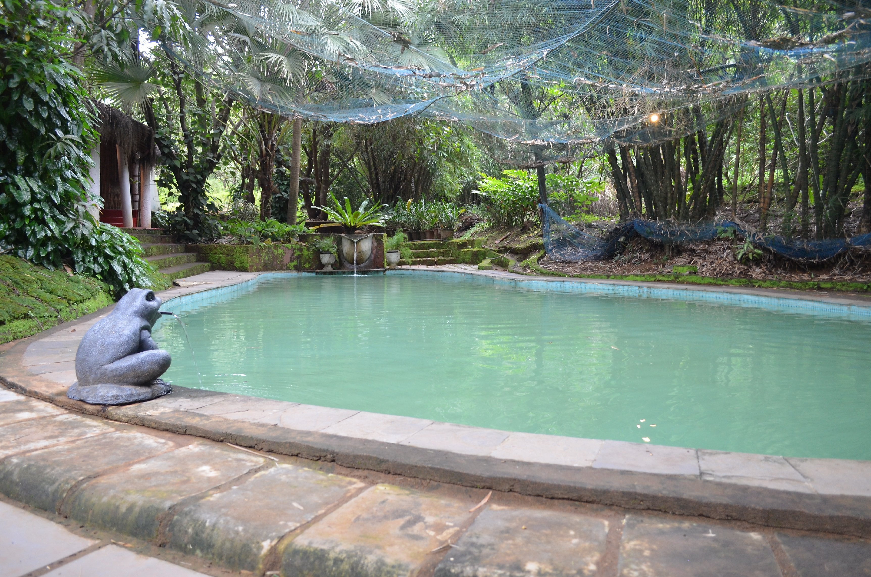 Mangaal Farmstay | Rooms & Swimming Pool Best Rates on Goa Hotel Deals ...