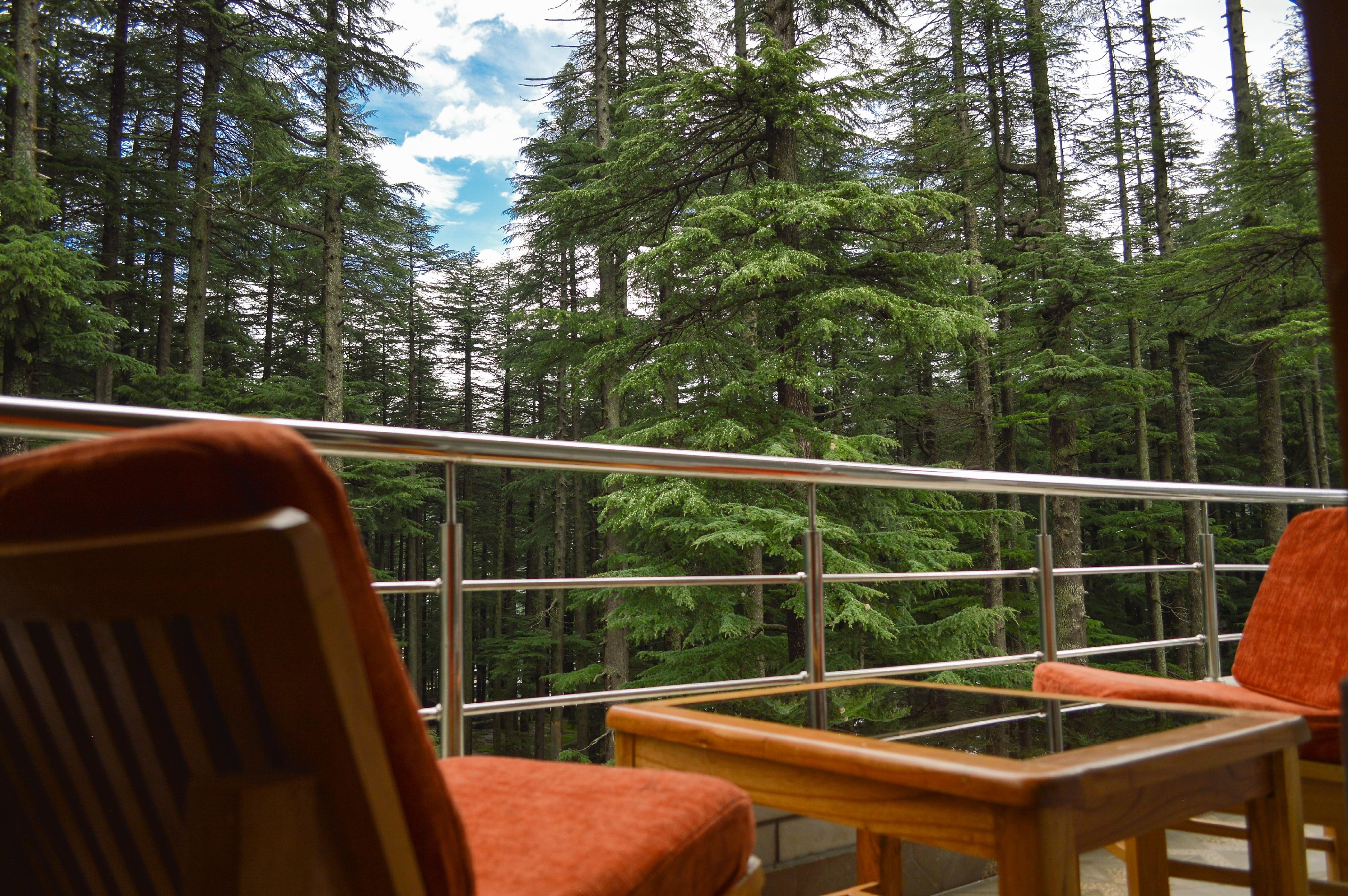 Forest View Retreat Best Rates on Manali Hotel Deals, Reviews & Photos