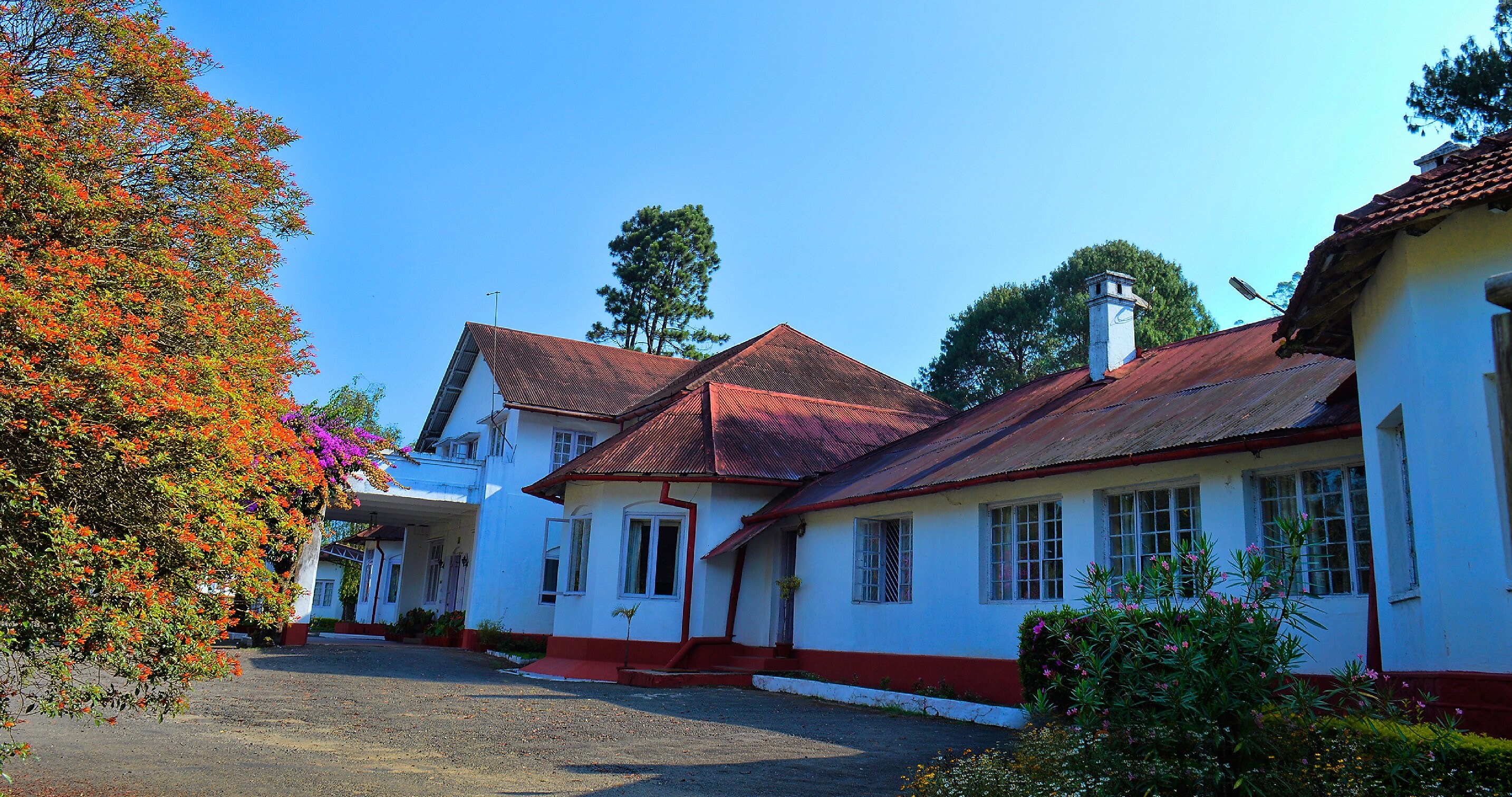 Haze and Kites Resort, Munnar Best Rates on Munnar Hotel Deals, Reviews ...
