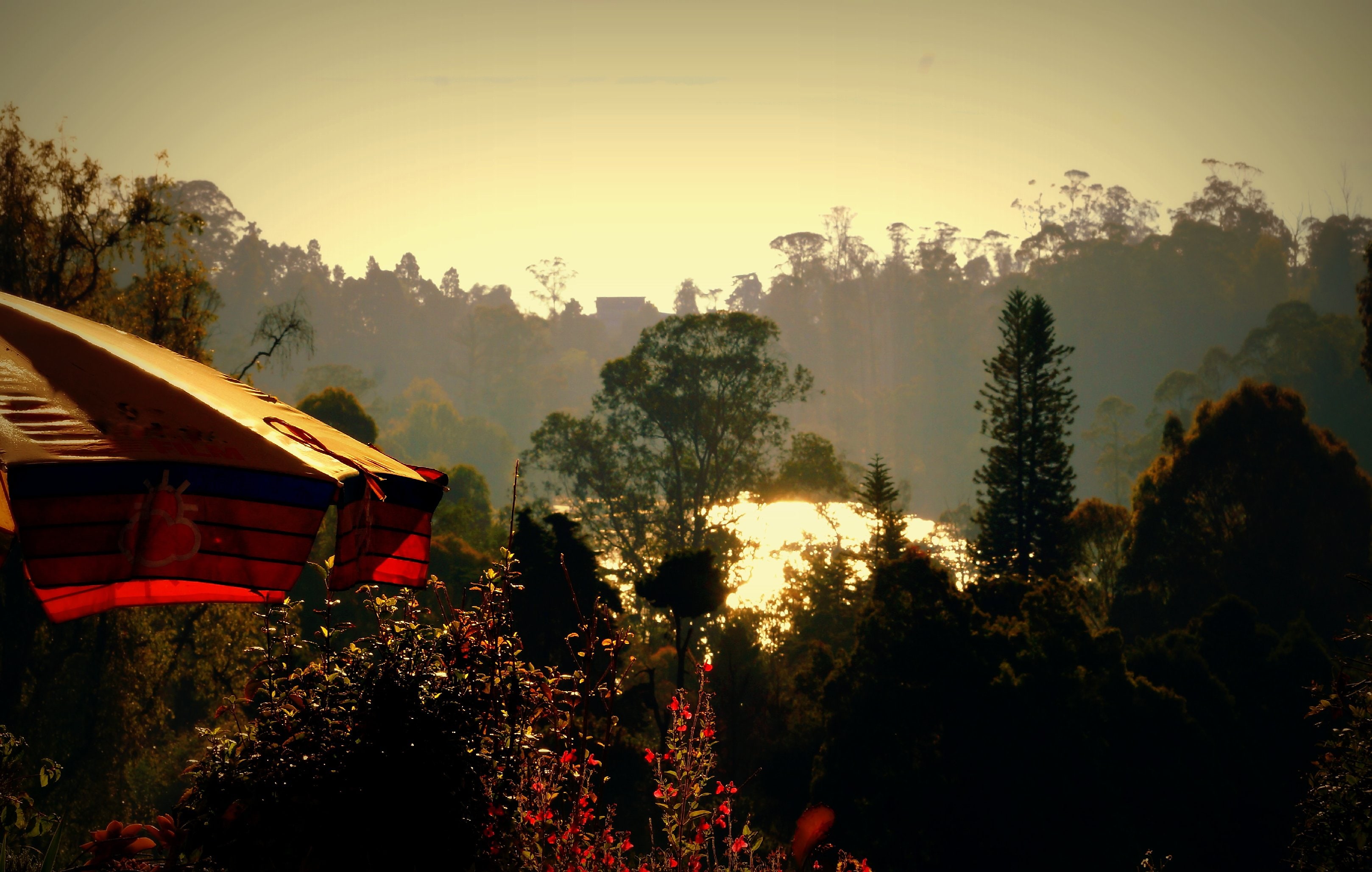 Avantara | Amazing Lake Views Chalets 𝗕𝗢𝗢𝗞 Kodaikanal Cottage