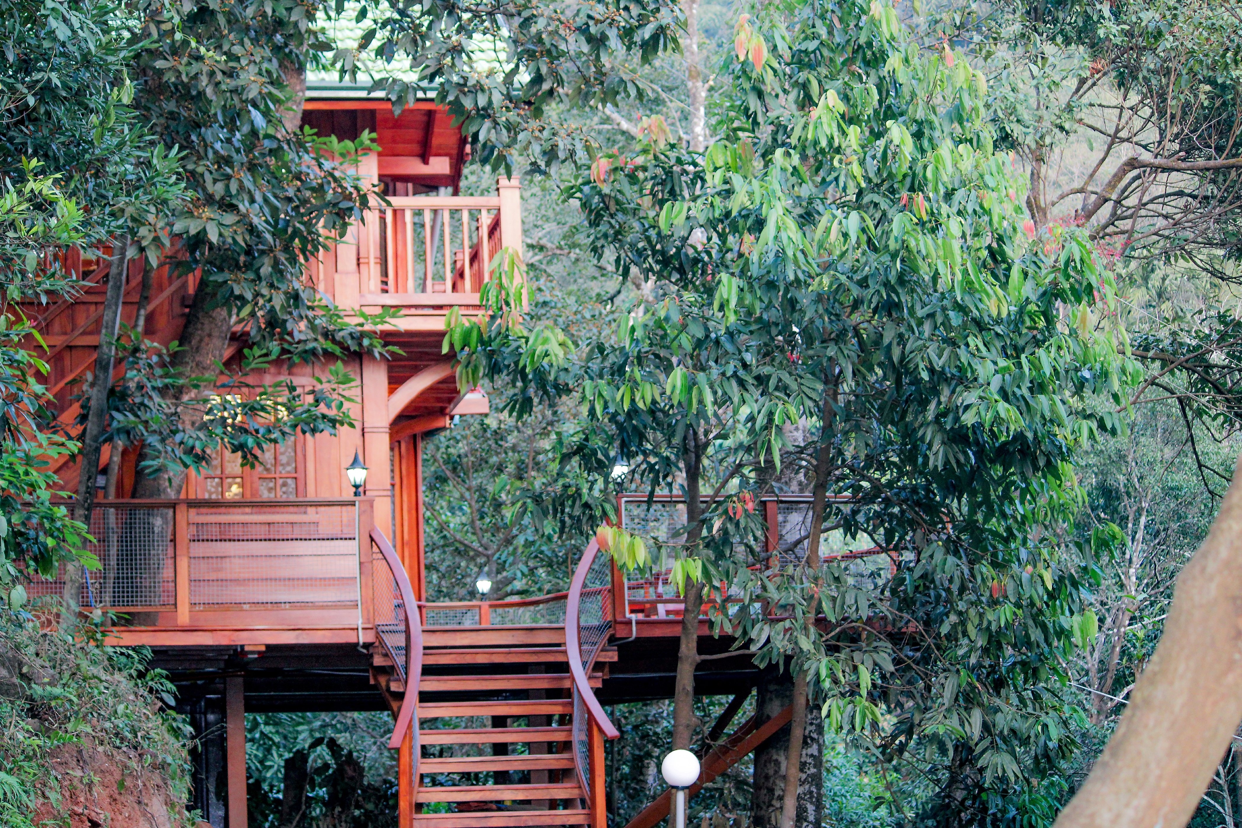Forestvalley Tree House 𝗕𝗢𝗢𝗞 Coorg Tree house 𝘄𝗶𝘁𝗵 𝗙𝗥𝗘𝗘 𝗖𝗮𝗻𝗰𝗲𝗹𝗹𝗮𝘁𝗶𝗼𝗻