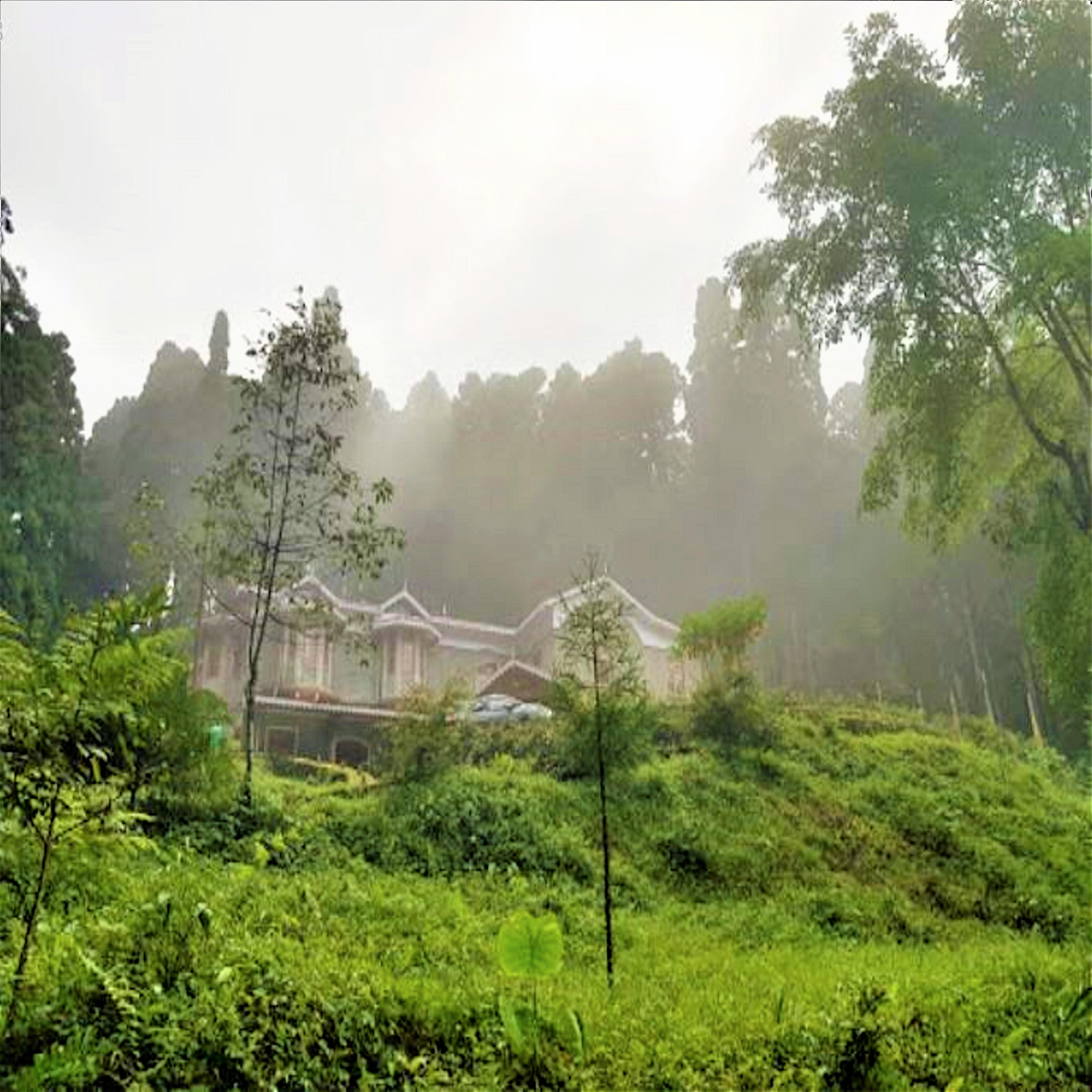 Takdah Heritage Colonial Bungalow No. 12 𝗕𝗢𝗢𝗞 Darjeeling Villa 𝘄𝗶𝘁𝗵 ₹𝟬 ...
