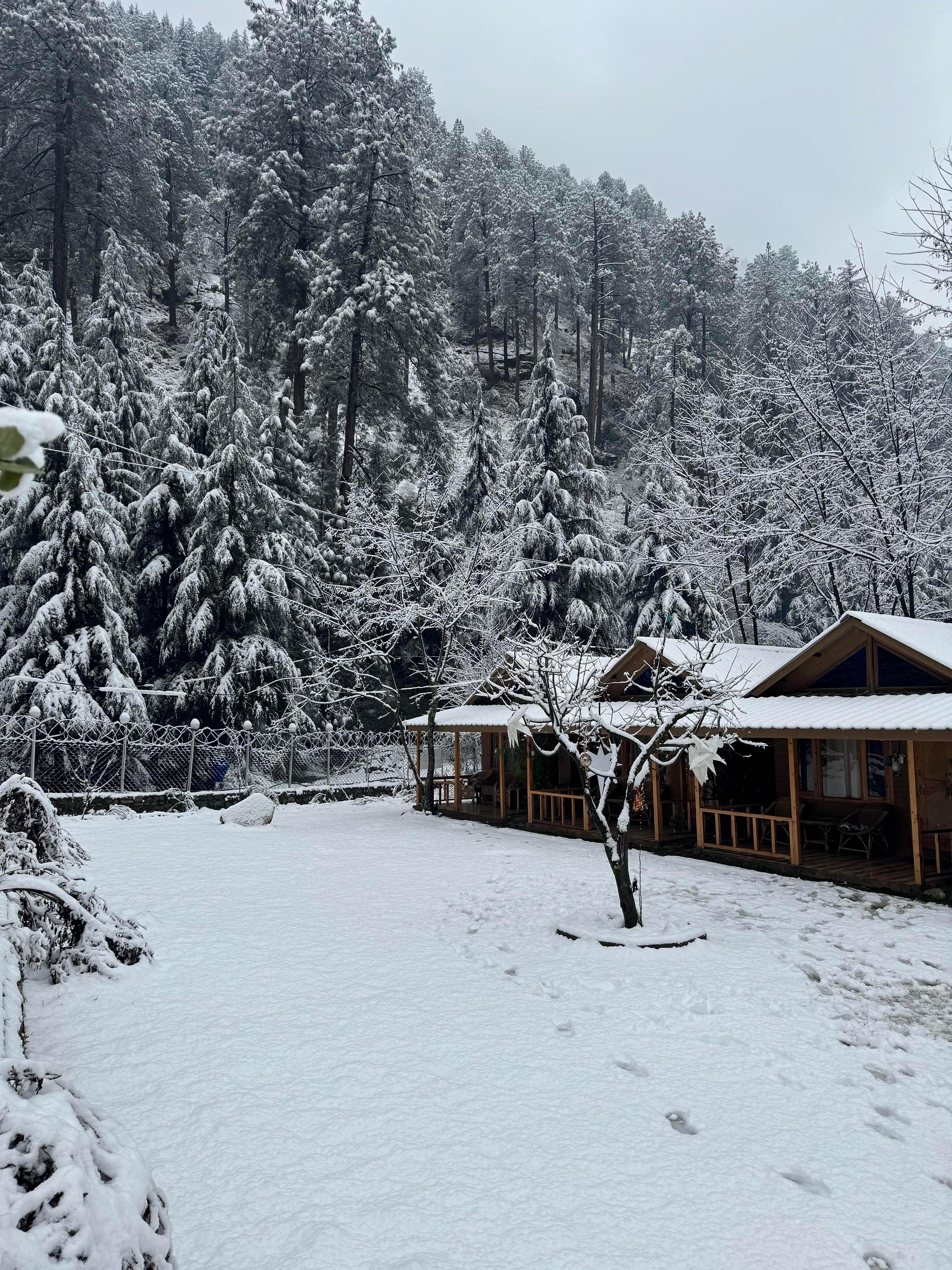Photos of Chalo Kasol | Riverside Cottage & Tents - Cottage in Kasol