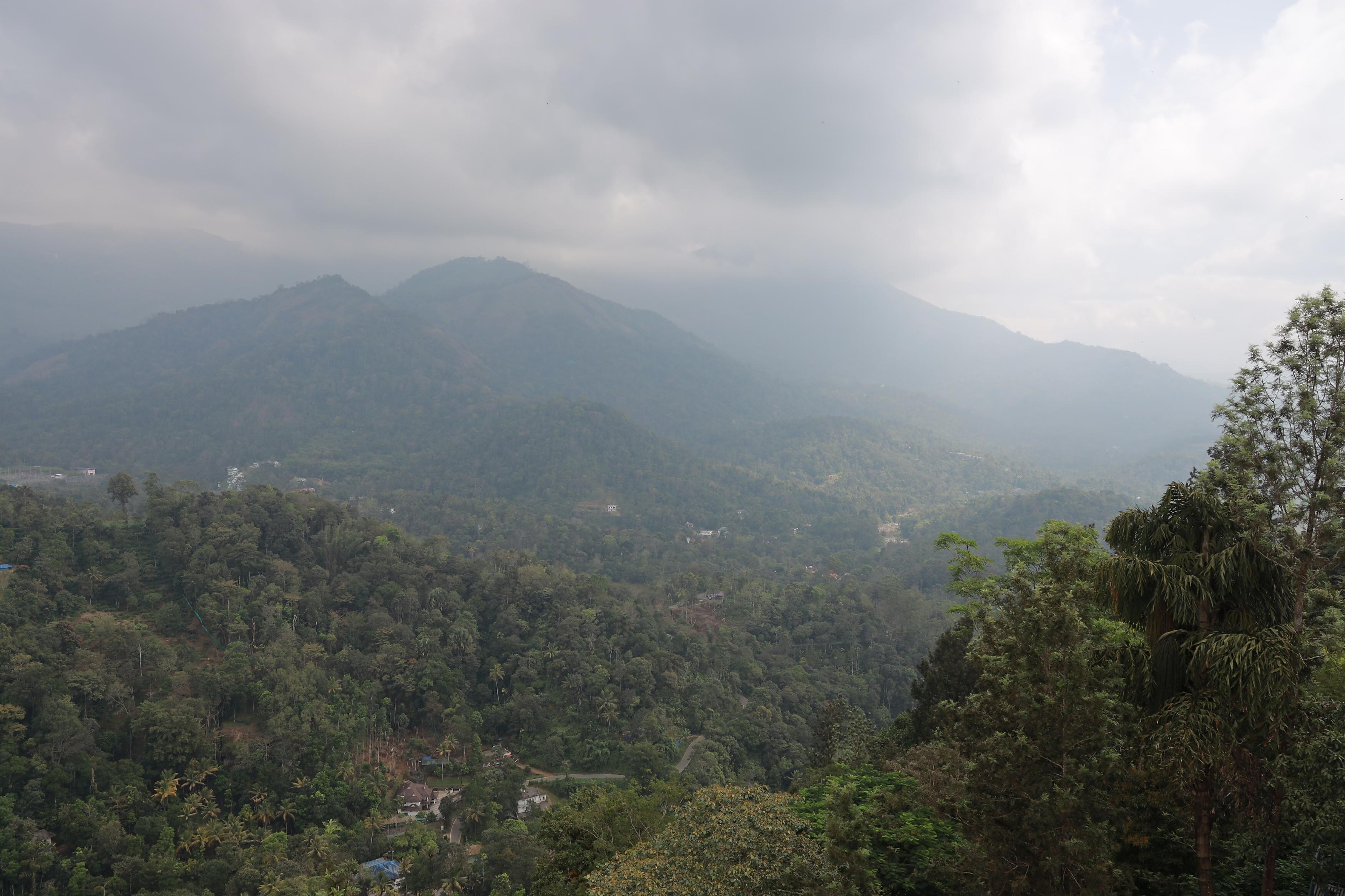Photos of British County Resorts - Resort in Munnar