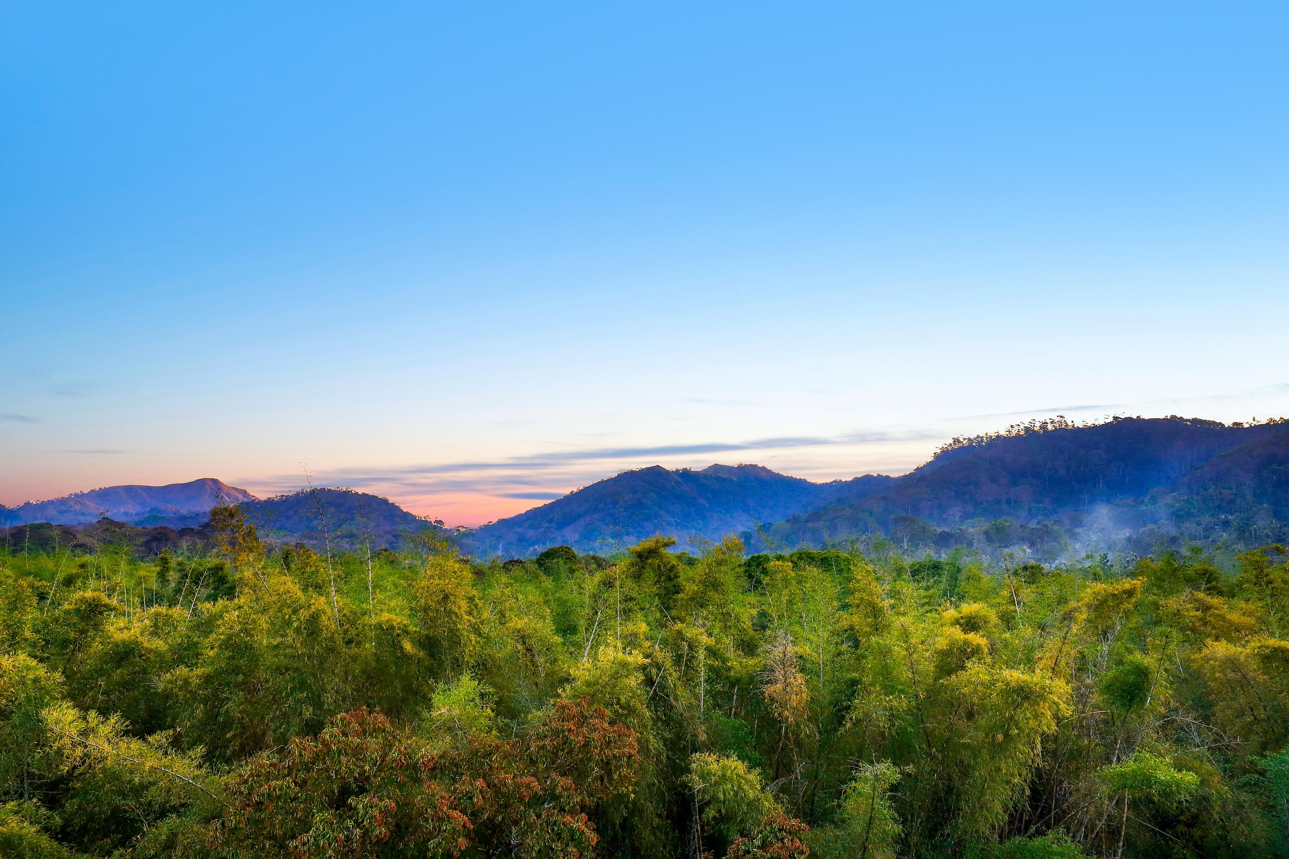 Keys Prima by Lemon Tree Hotels Thekkady 𝗕𝗢𝗢𝗞 Thekkady Hotel 𝘄𝗶𝘁𝗵 𝗙𝗥𝗘𝗘 ...