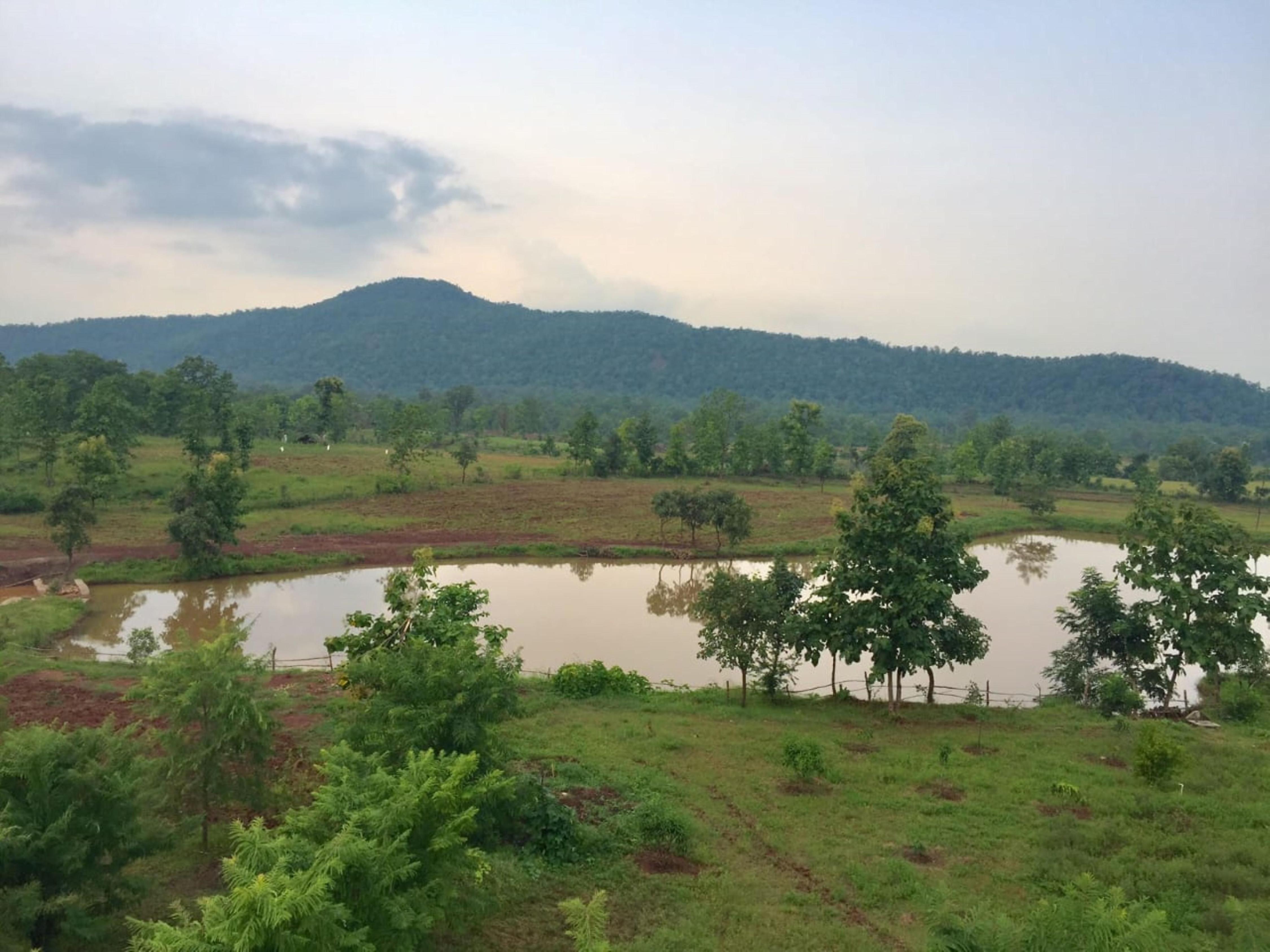 Photos of Jungle Aashiyanaa - Cottage in Parasia