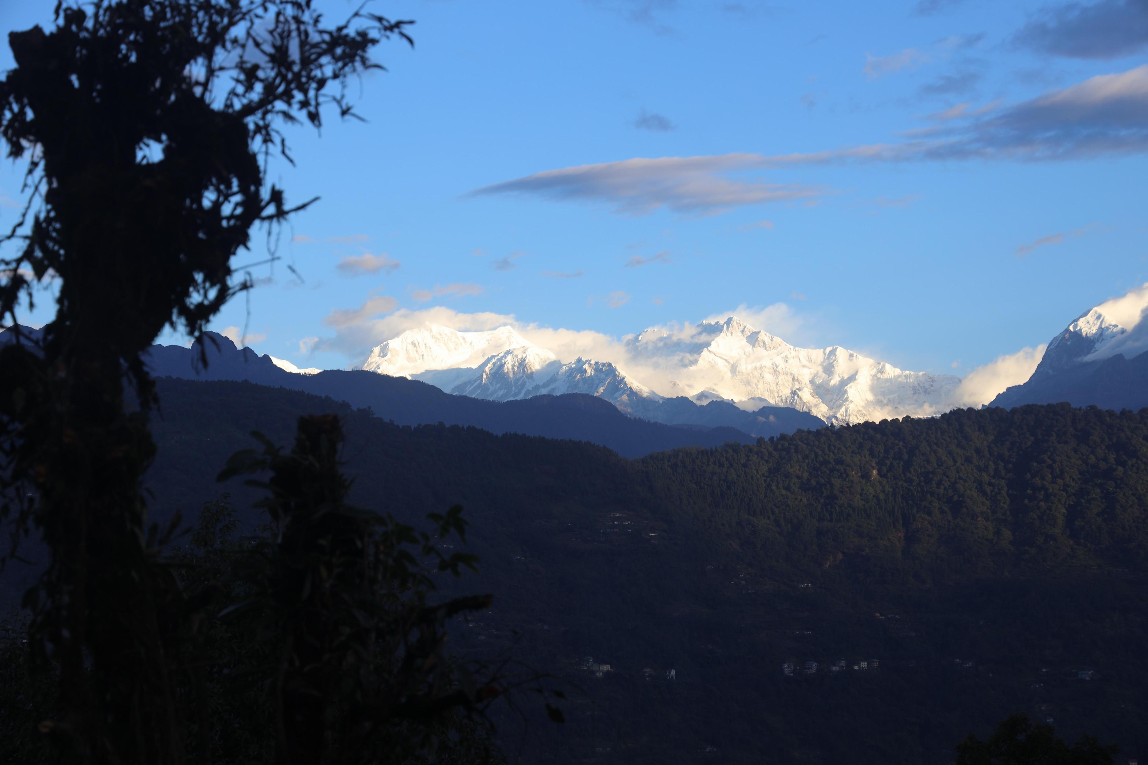 Red Panda Jungle Camp Pelling - Reviews, Photos & Offer