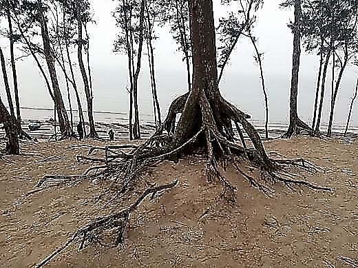 Hotels Near New Digha Sea Beach Book from Top Places to Stay Near New ...